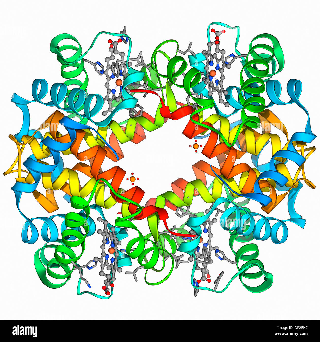 Haemoglobin High Resolution Stock Photography and Images - Alamy