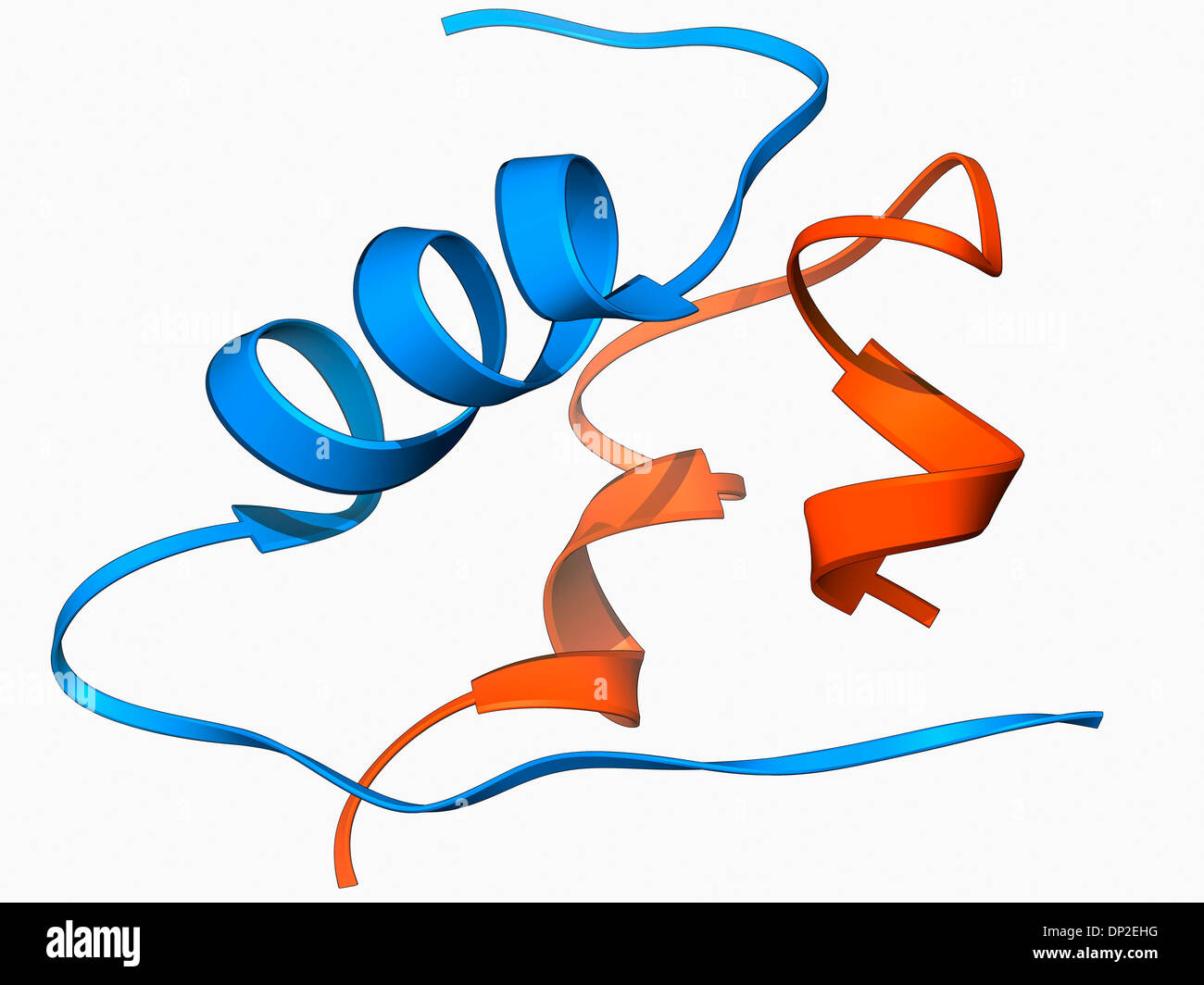 Insulin molecule hi-res stock photography and images - Alamy
