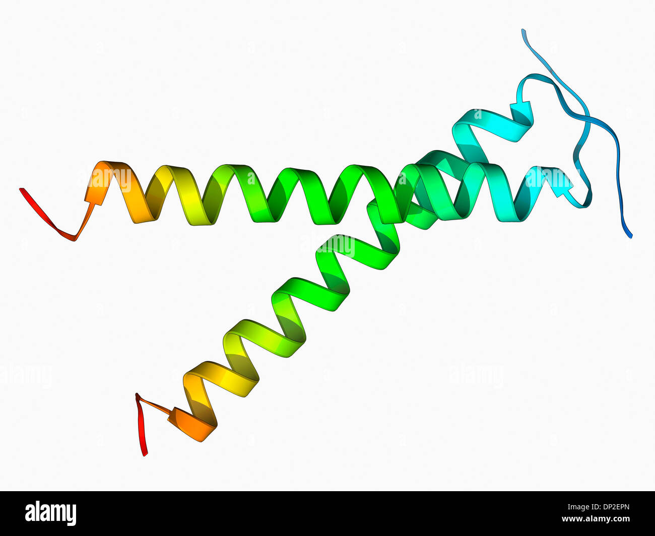 Growth factor receptor molecule Stock Photo - Alamy