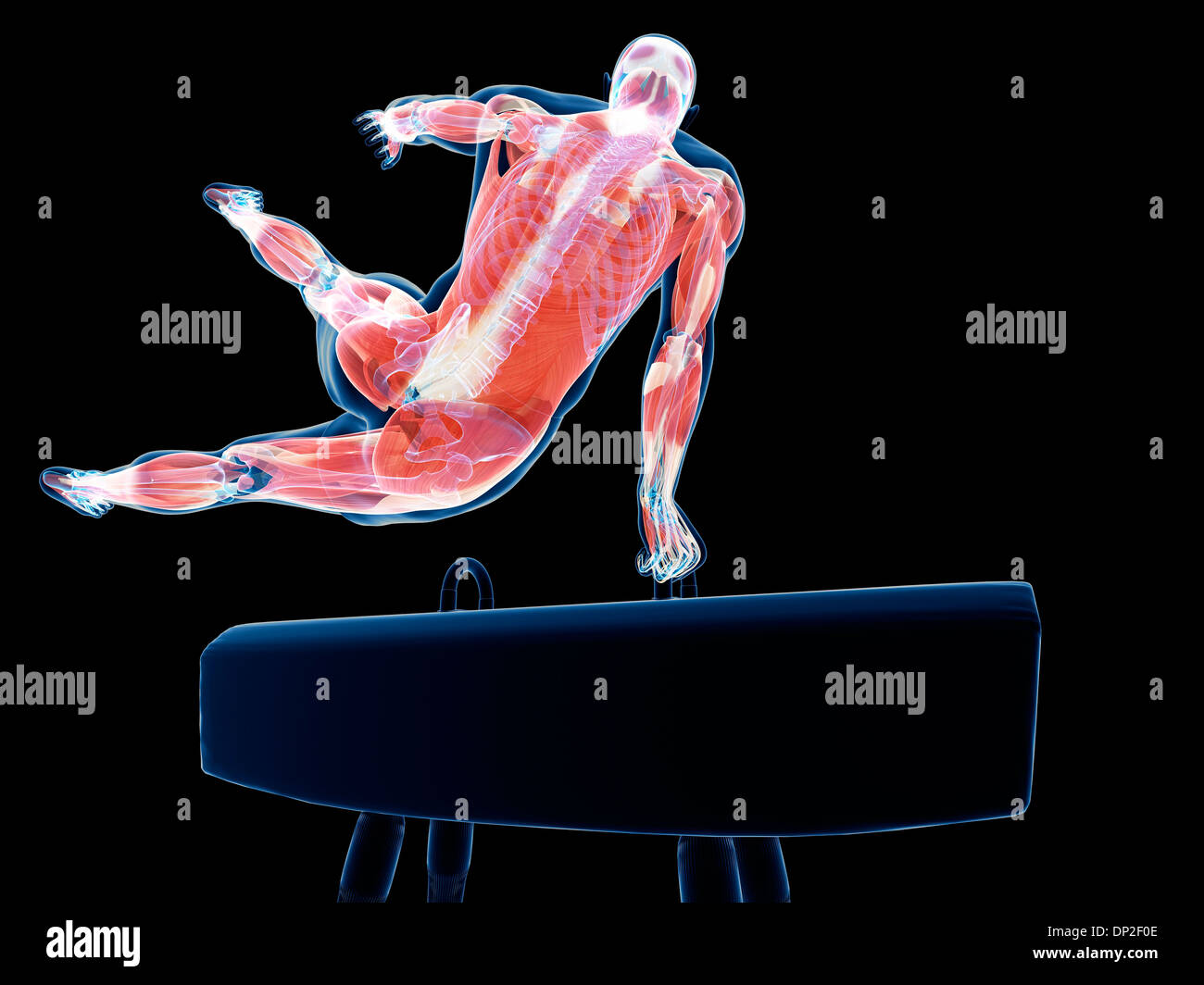 Rear view gymnast hi-res stock photography and images - Alamy