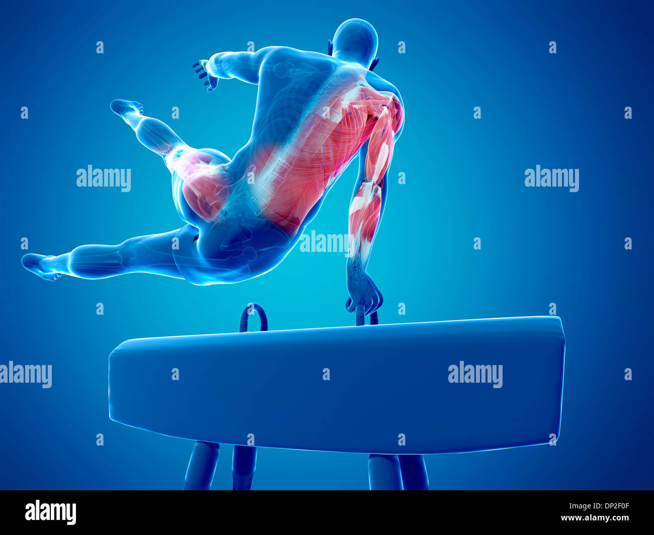 Rear view gymnast hi-res stock photography and images - Alamy