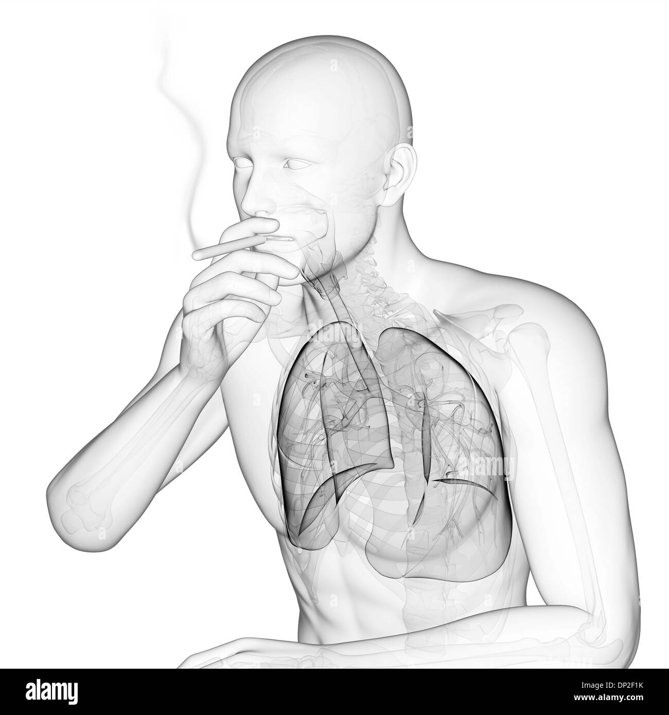 Human lung smoker Black and White Stock Photos & Images - Alamy