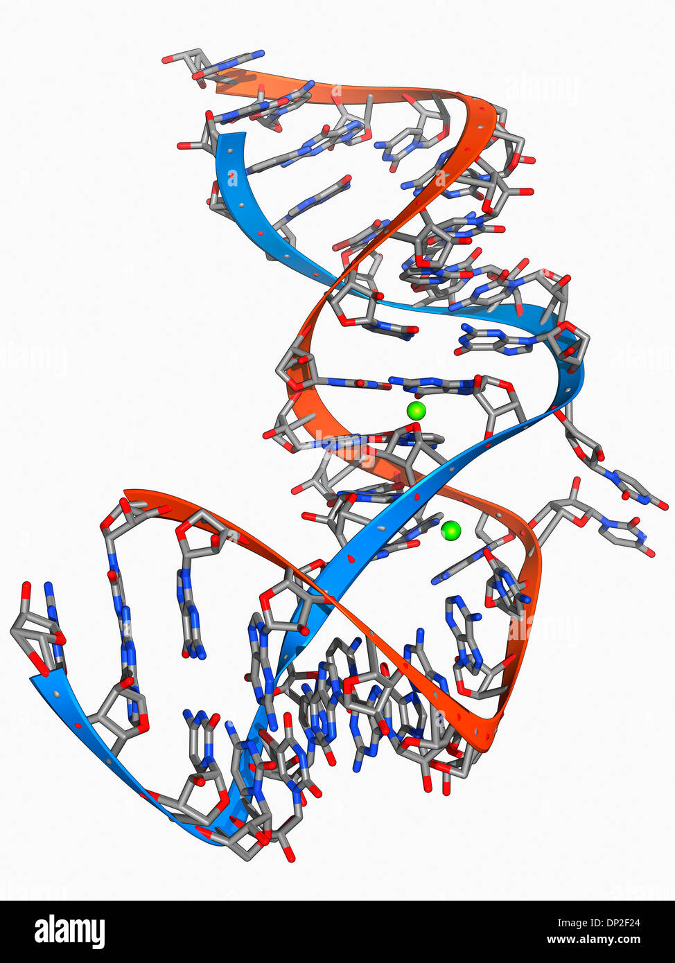 Ribosome structure hi-res stock photography and images - Alamy