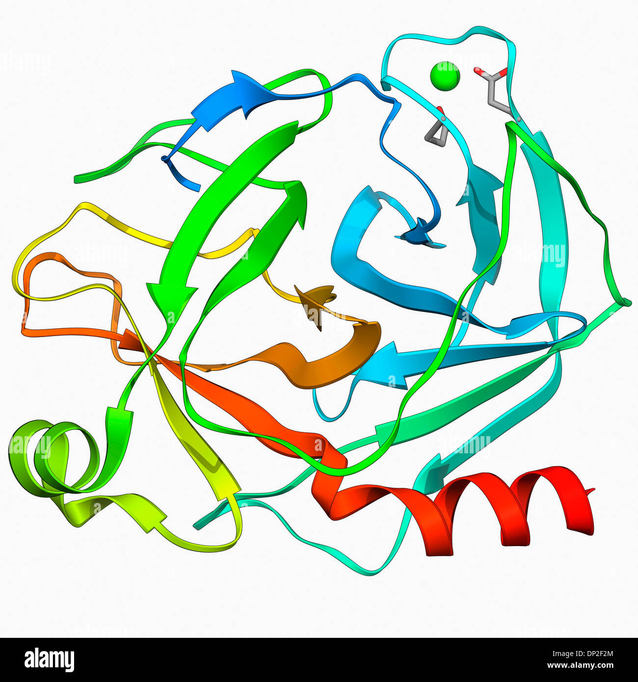 Trypsin molecule hi-res stock photography and images - Alamy