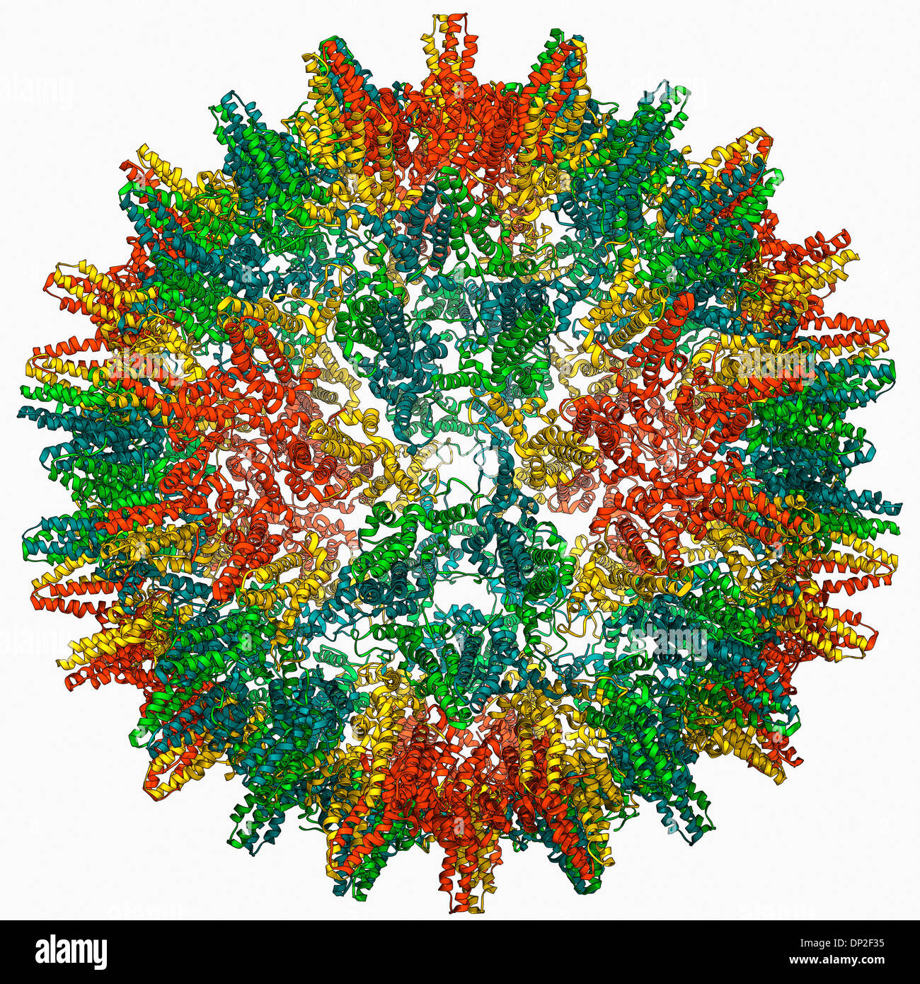 Hepatitis B virus capsid, molecular model Stock Photo: 65209289 - Alamy Hepatitis B virus capsid, molecular model Stock Photo: 65209289 - Alamy
