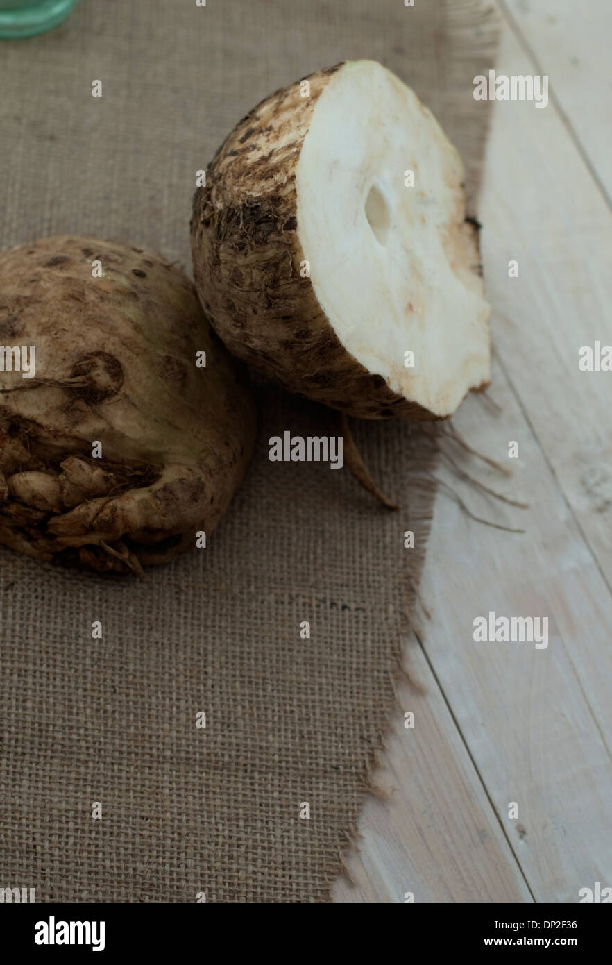 Still life food image of a single celariac vegetable Stock Photo - Alamy