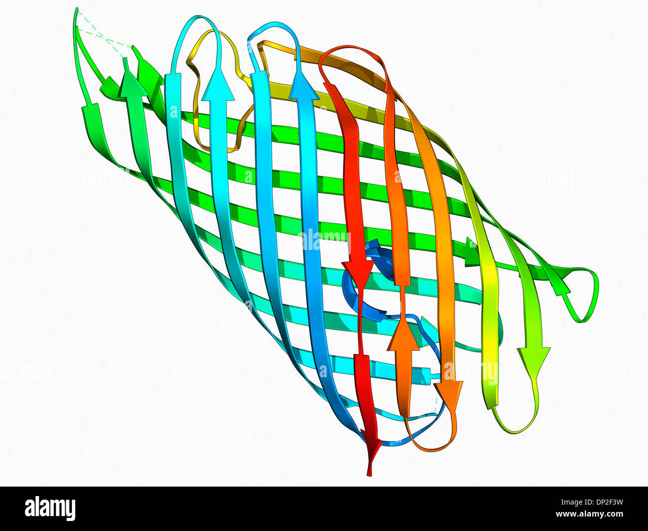E coli virulence factor Stock Photo - Alamy