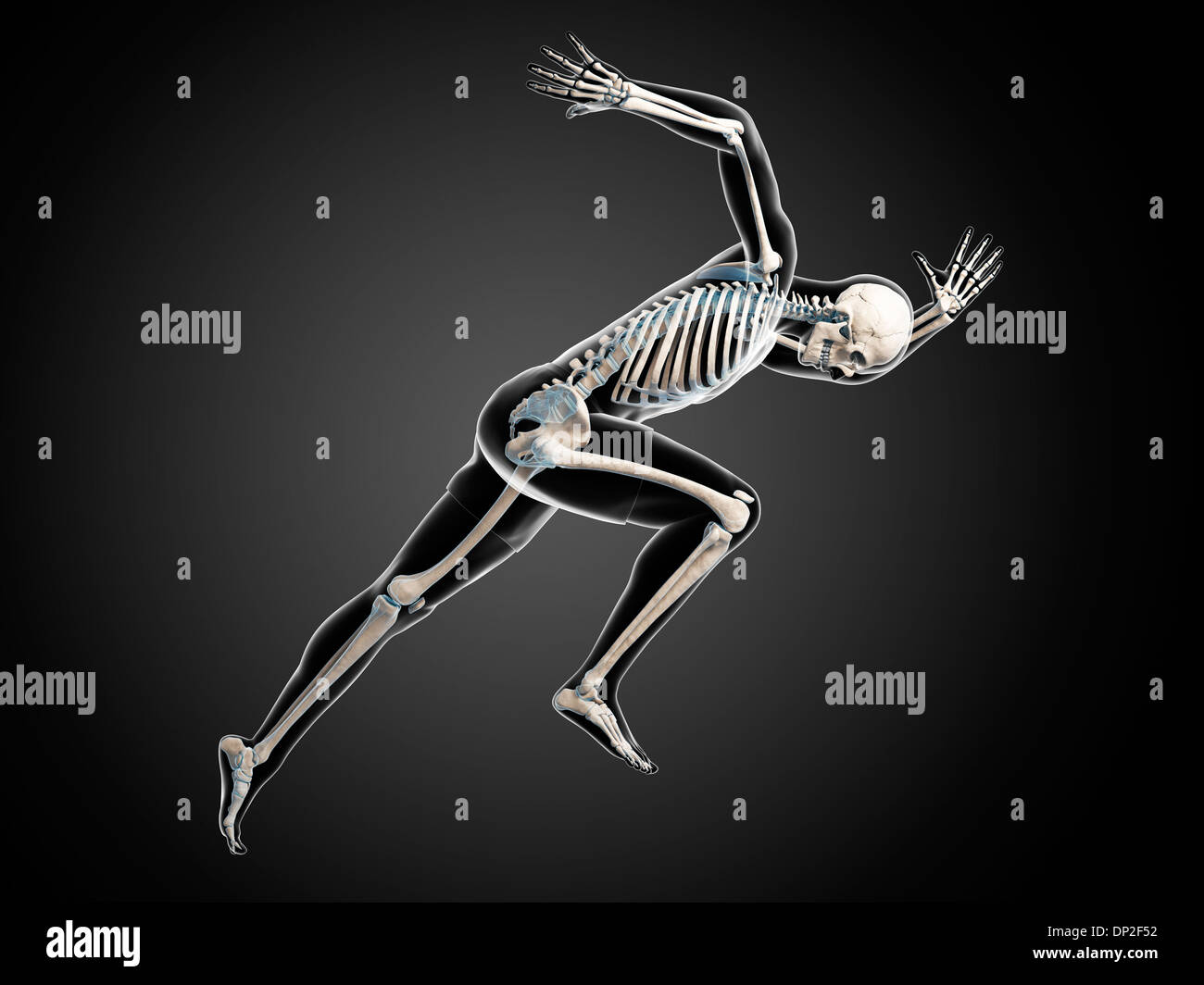 White sprinter hi-res stock photography and images - Alamy