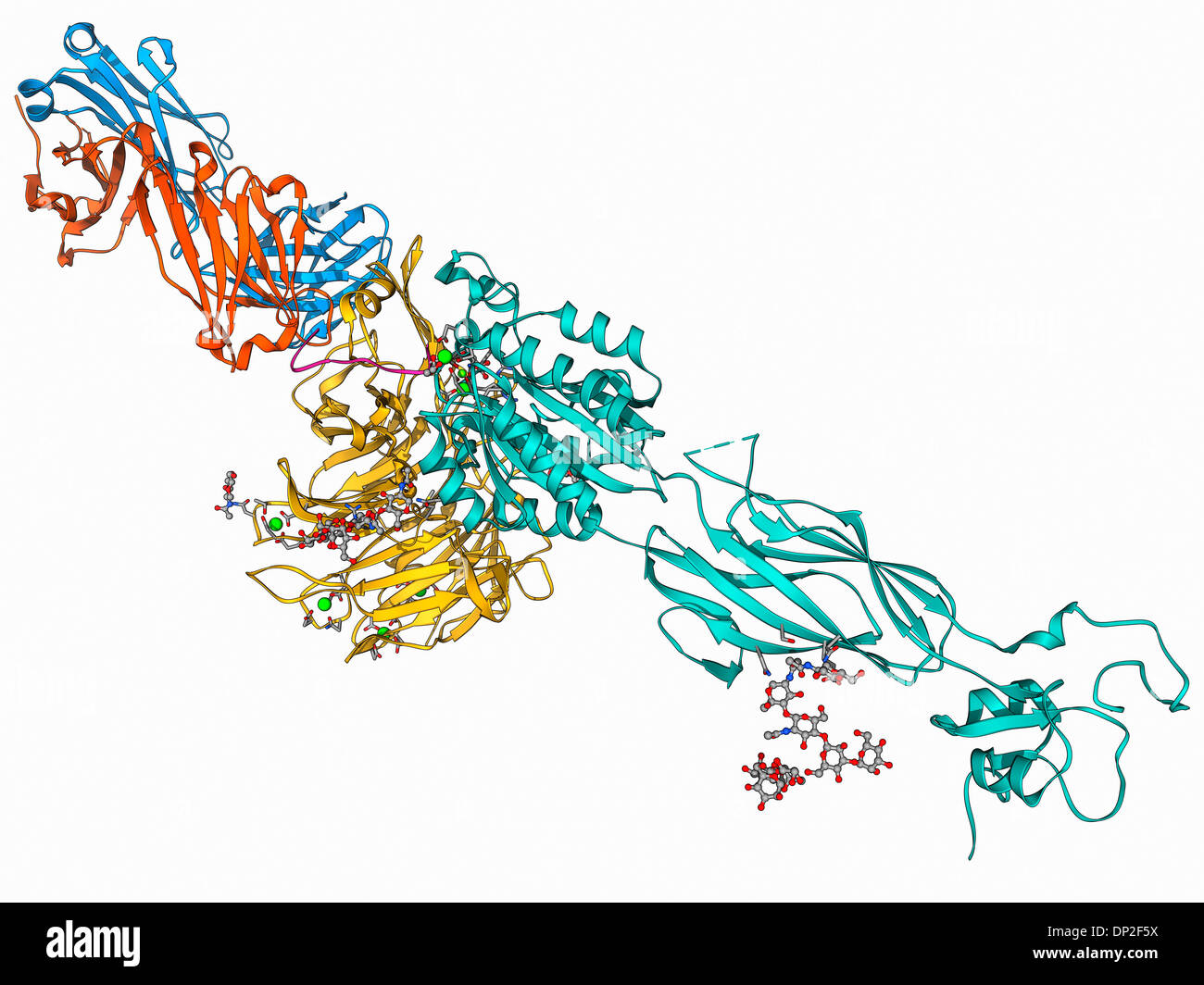 Fibrinogen hi-res stock photography and images - Alamy