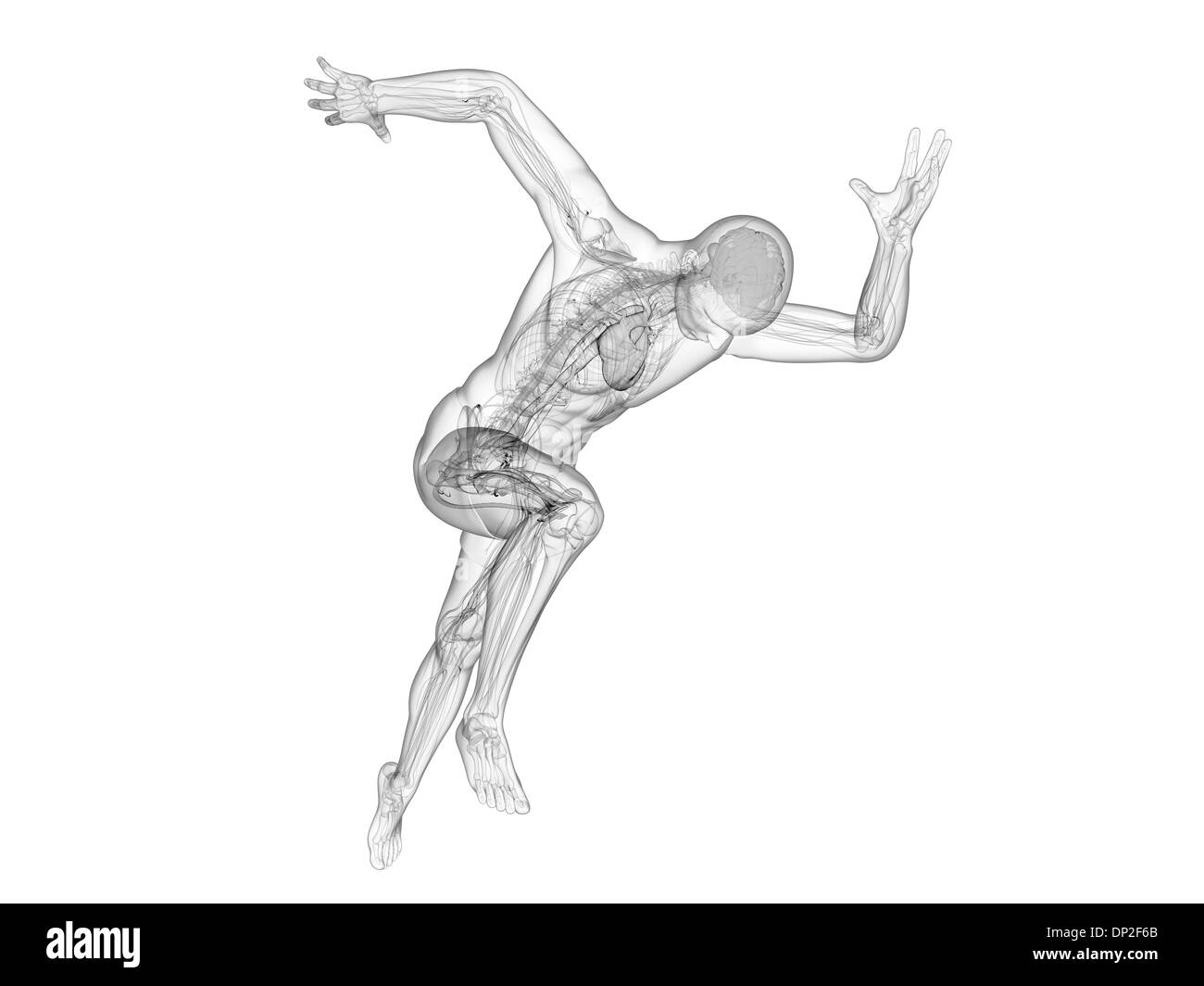 Male sprinter white background Cut Out Stock Images & Pictures - Alamy