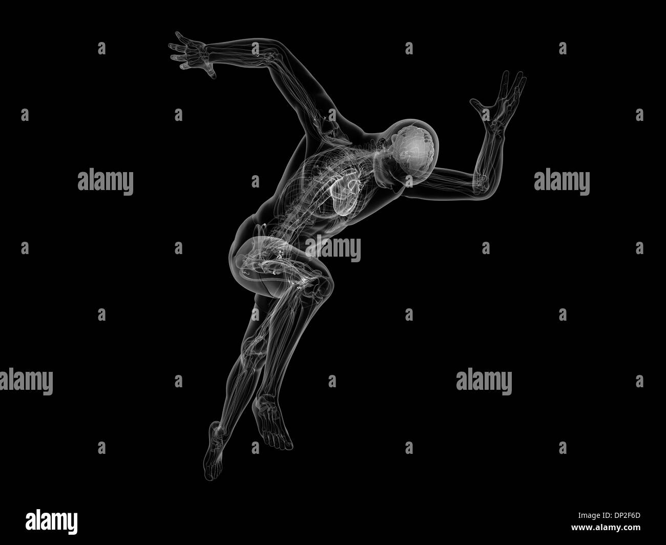 White sprinter hi-res stock photography and images - Alamy