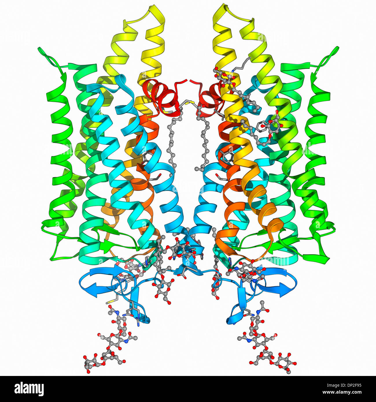 Opsin hi-res stock photography and images - Alamy