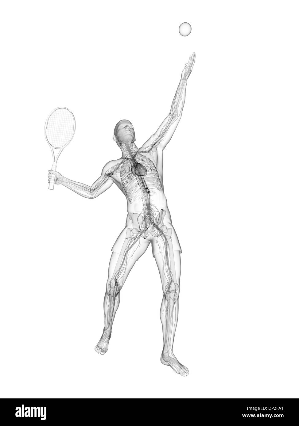 Tennis black background Cut Out Stock Images & Pictures - Alamy