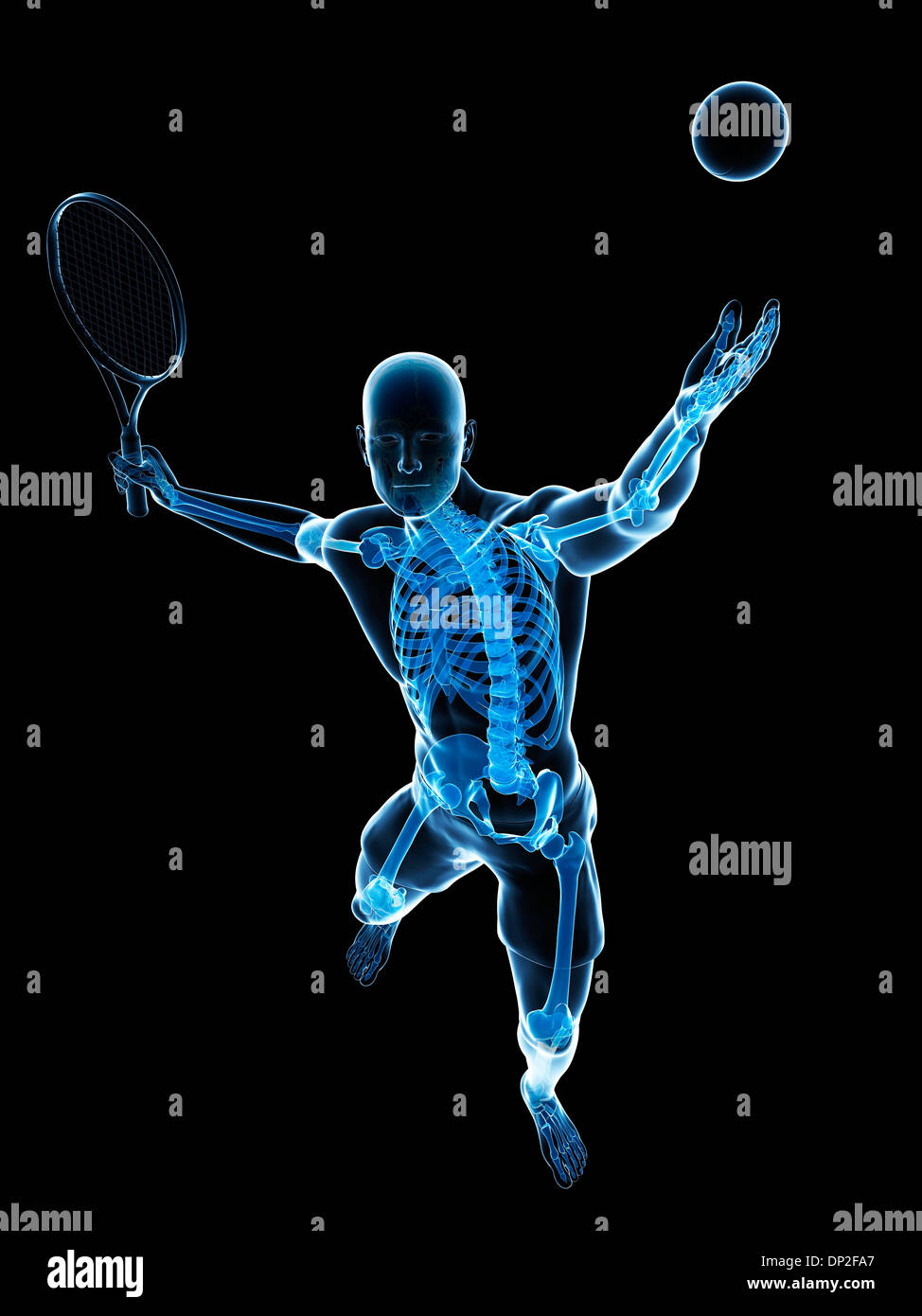 Tennis player anatomy hi-res stock photography and images - Alamy