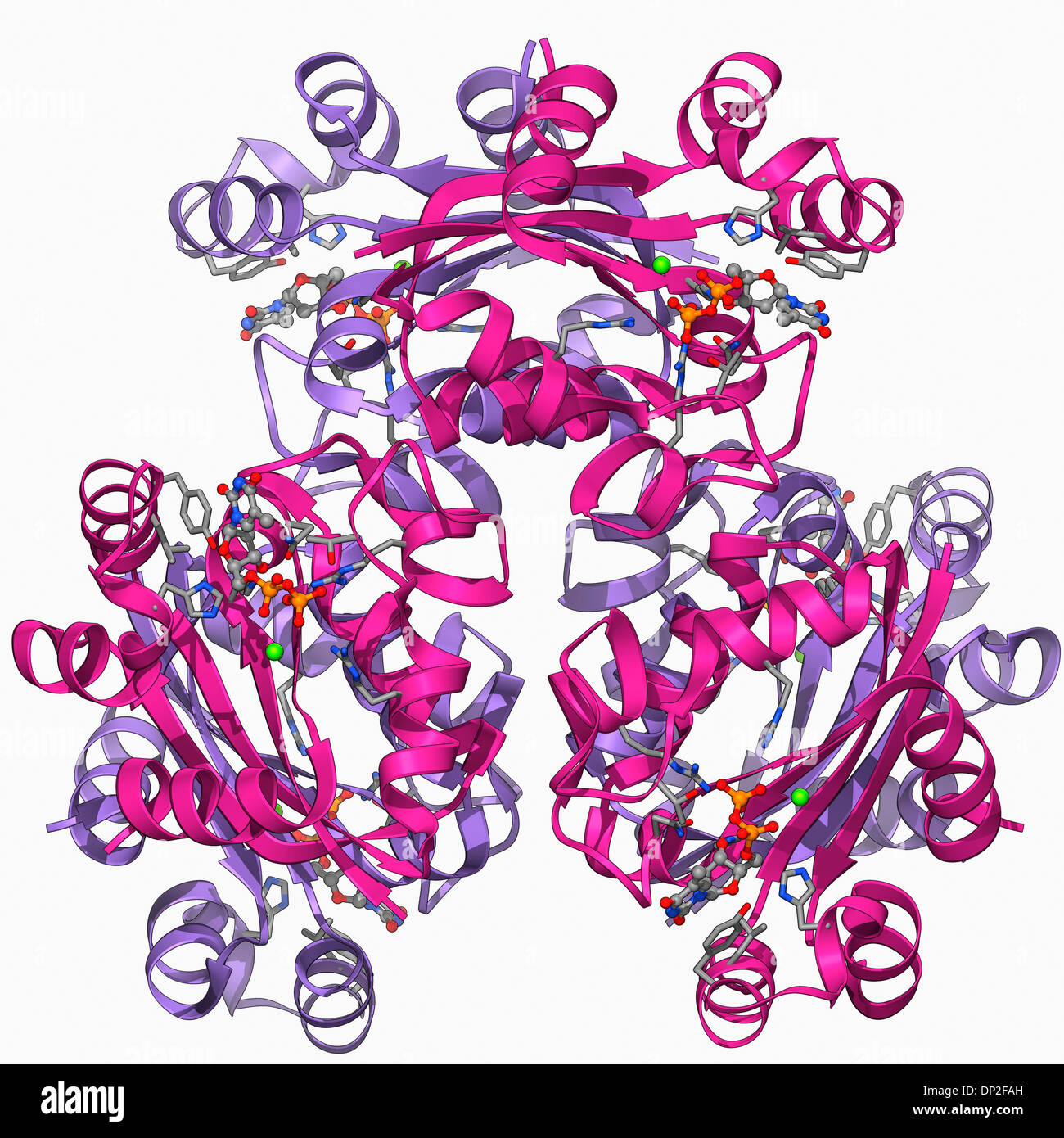 Nucleoside structure hi-res stock photography and images - Alamy