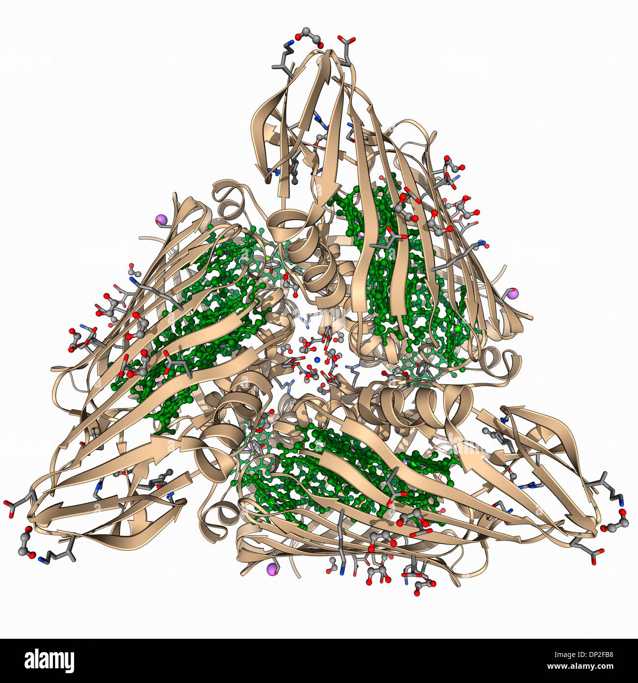 Complex Protein Molecule High Resolution Stock Photography and Images ...