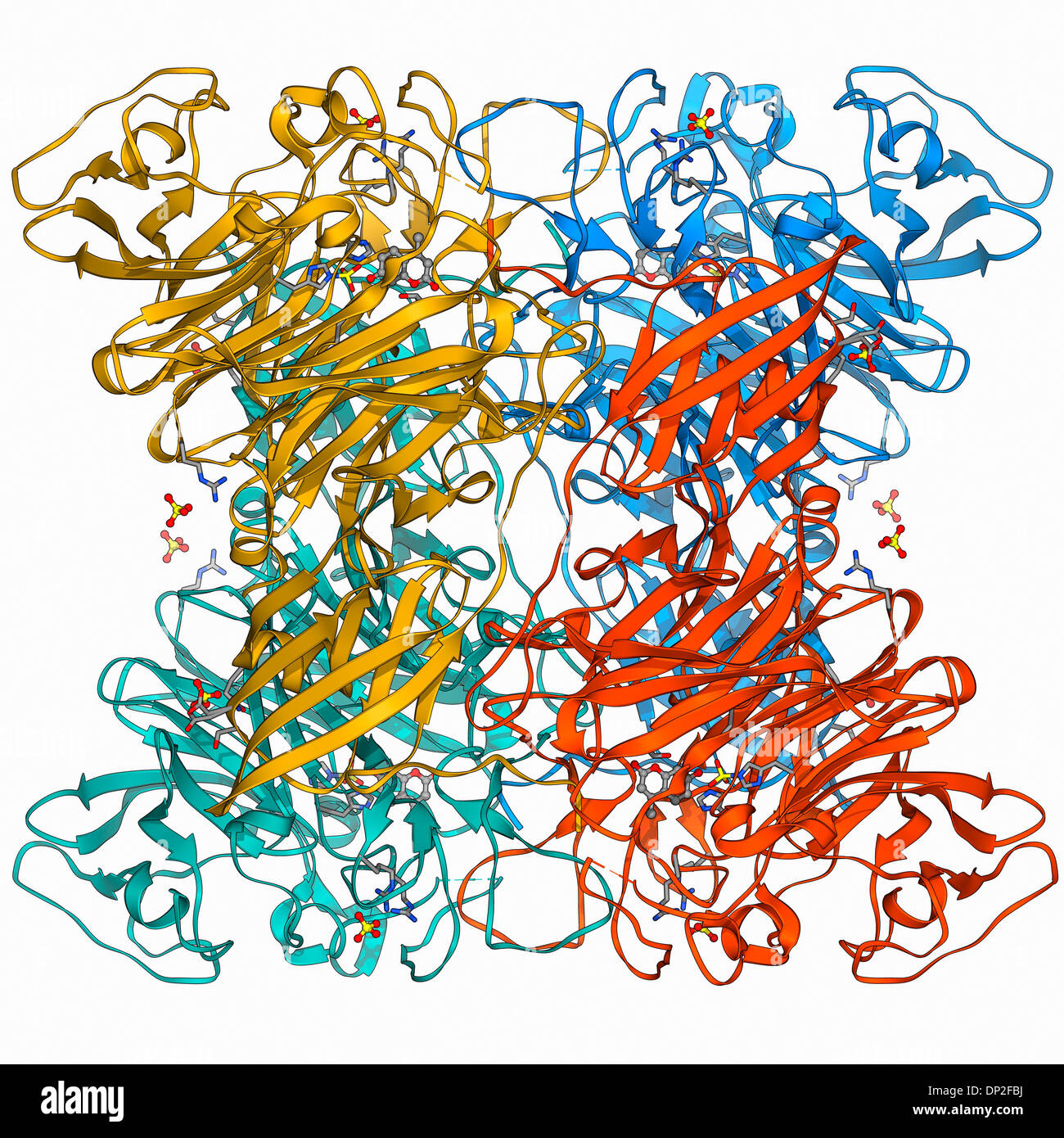 E coli virulence factor molecule Stock Photo - Alamy