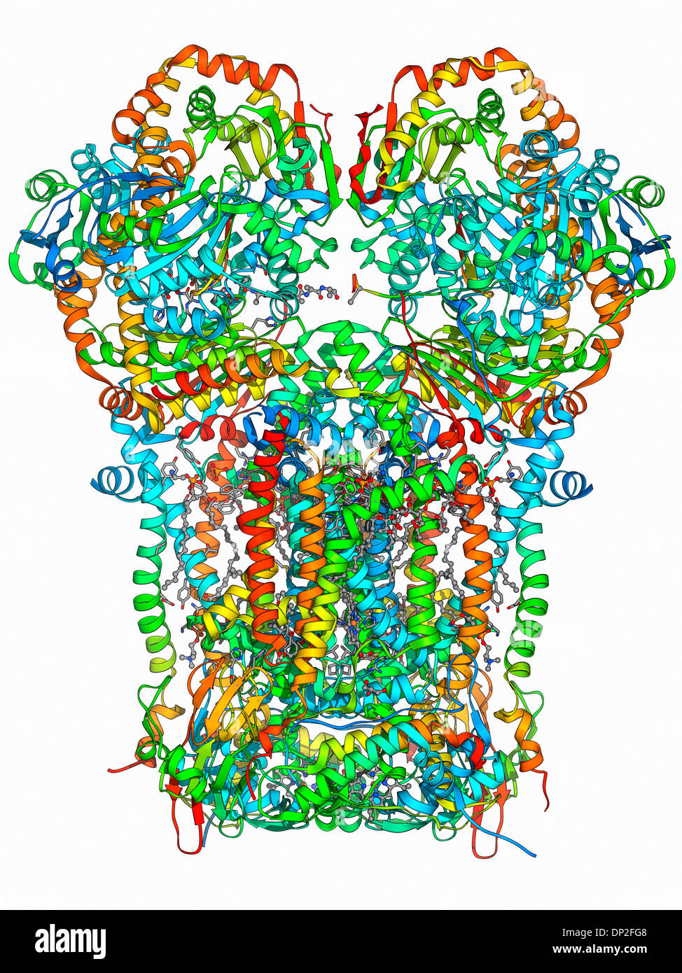 Cytochrome hi-res stock photography and images - Alamy