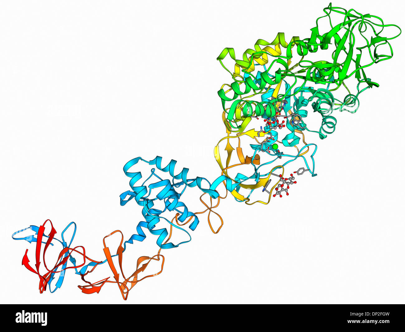 Enzyme hi-res stock photography and images - Alamy