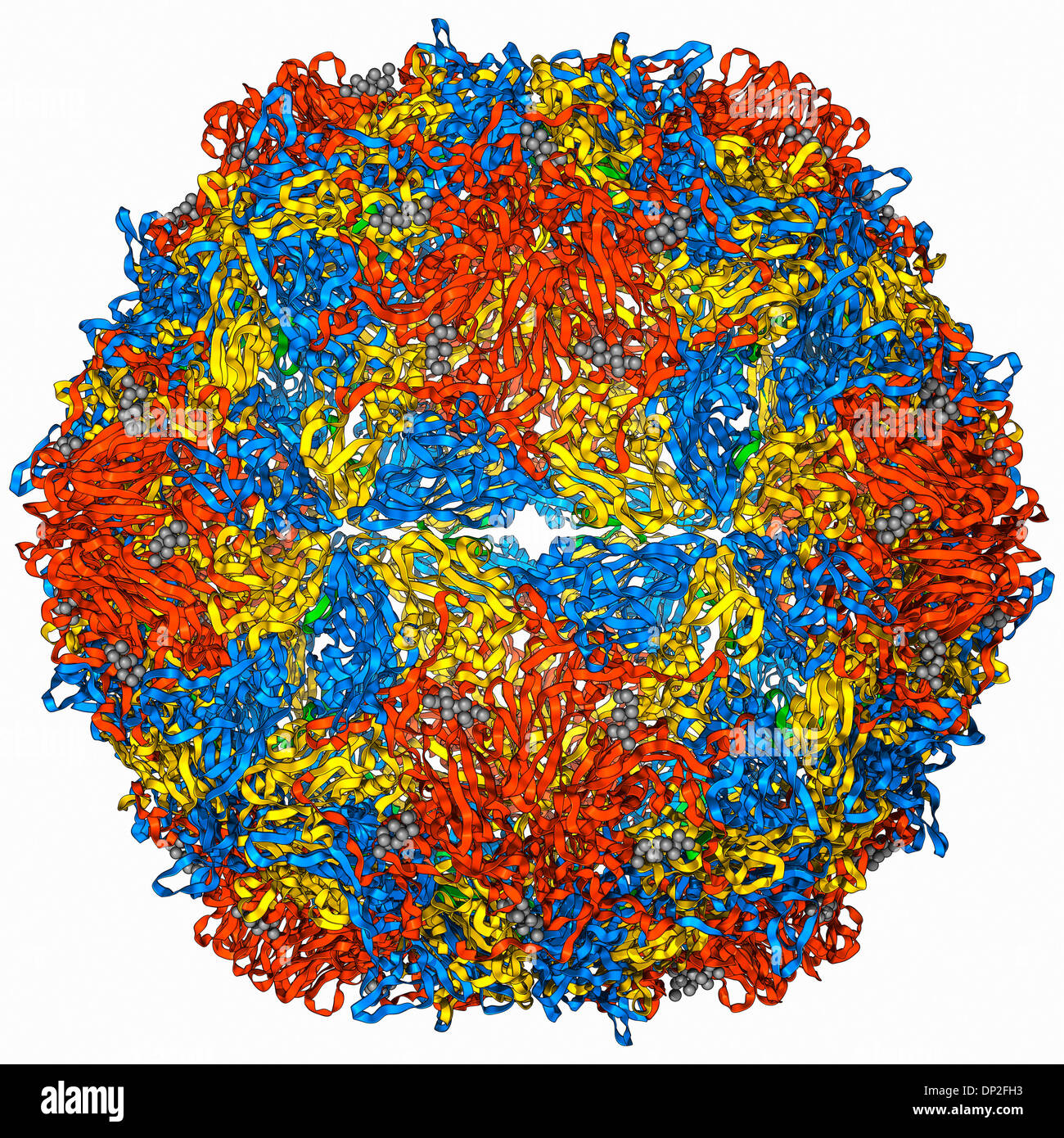 Type 3 poliomyelitis hi-res stock photography and images - Alamy