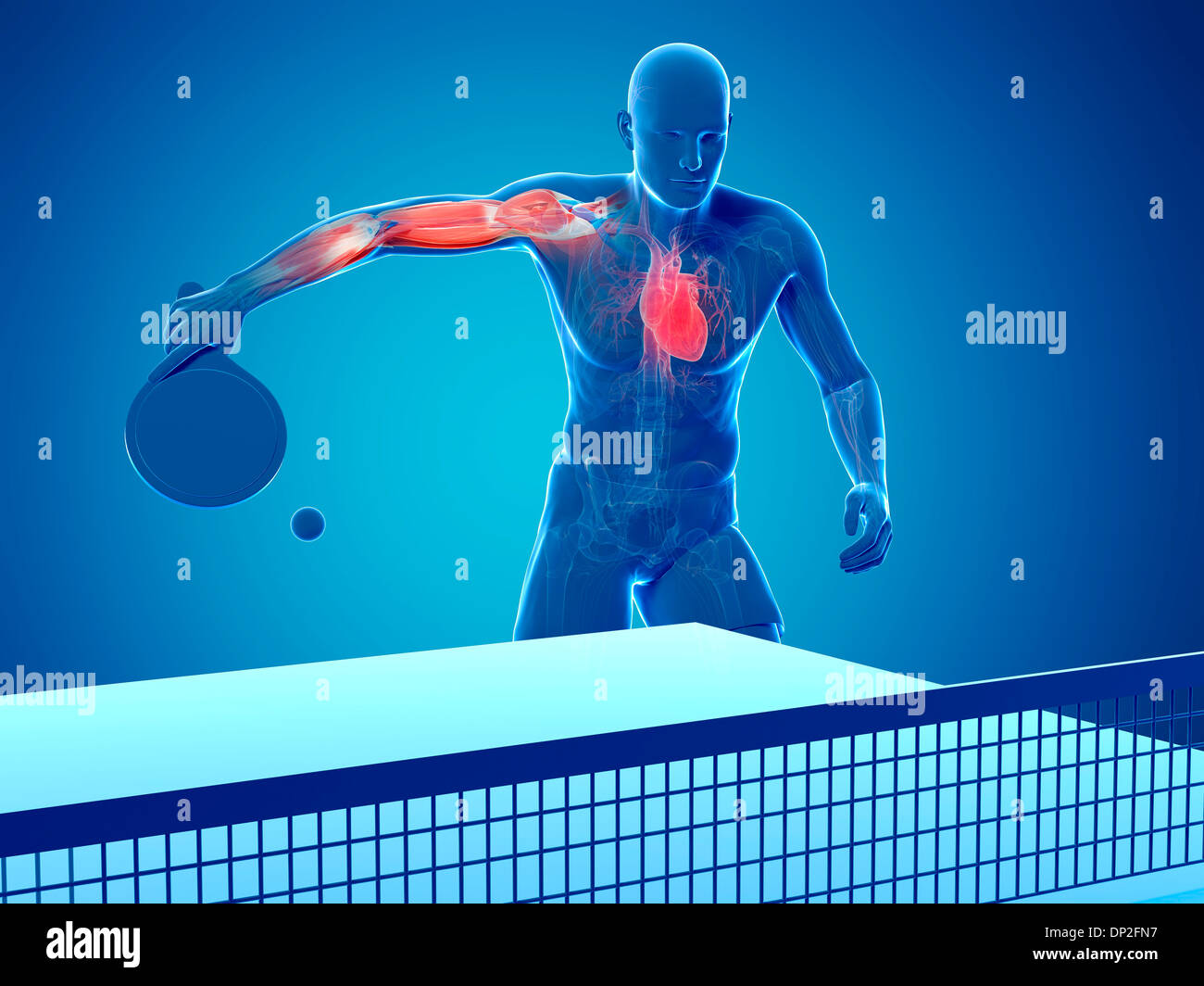 Table tennis player, artwork Stock Photo - Alamy