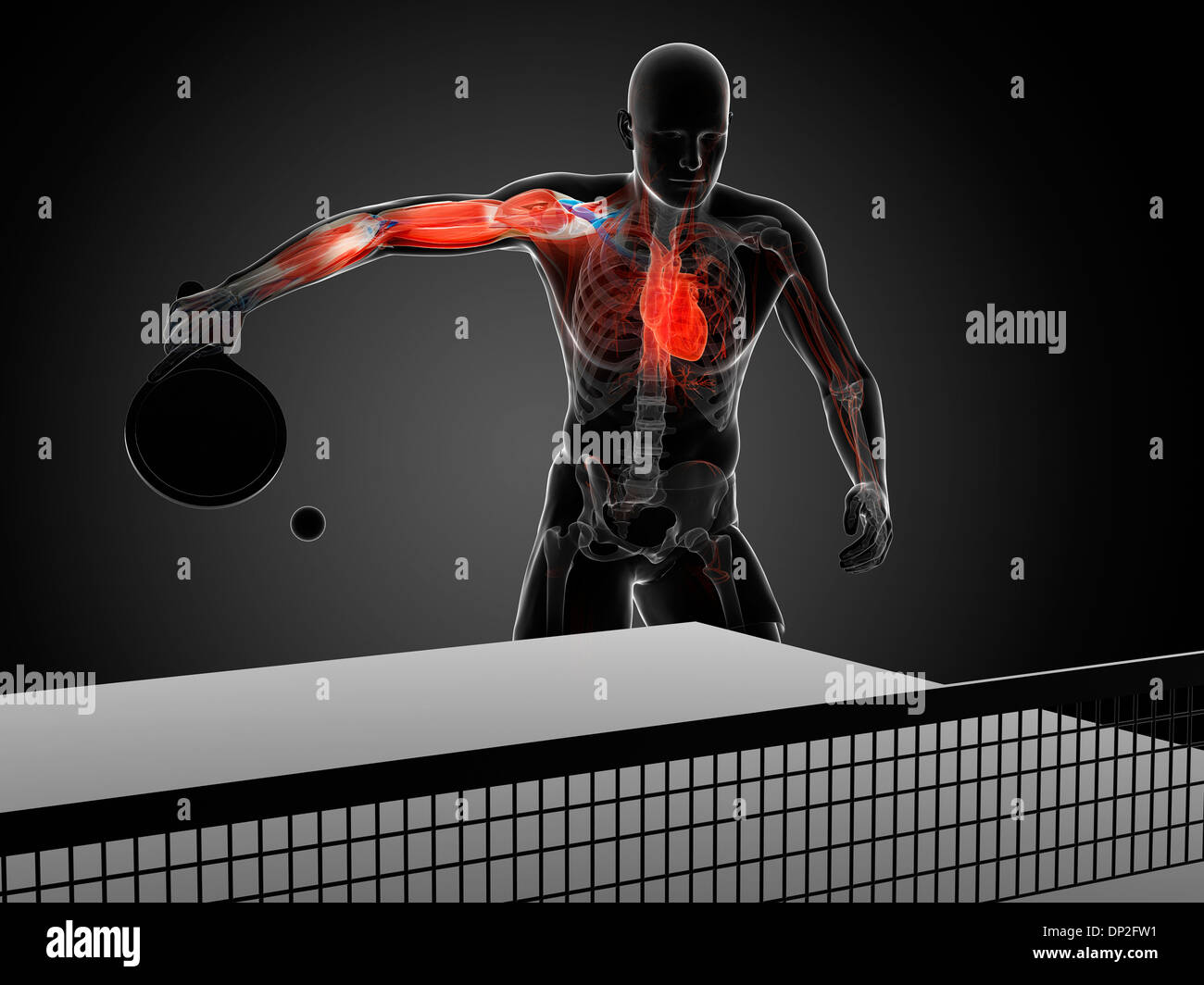 Table tennis player, artwork Stock Photo - Alamy