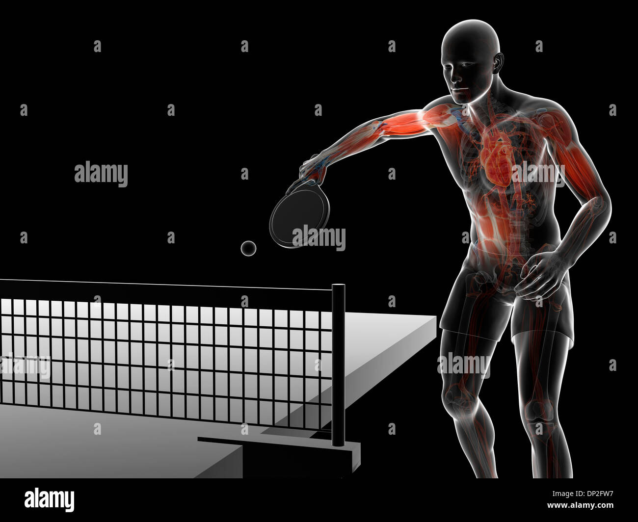 Table tennis player, artwork Stock Photo - Alamy