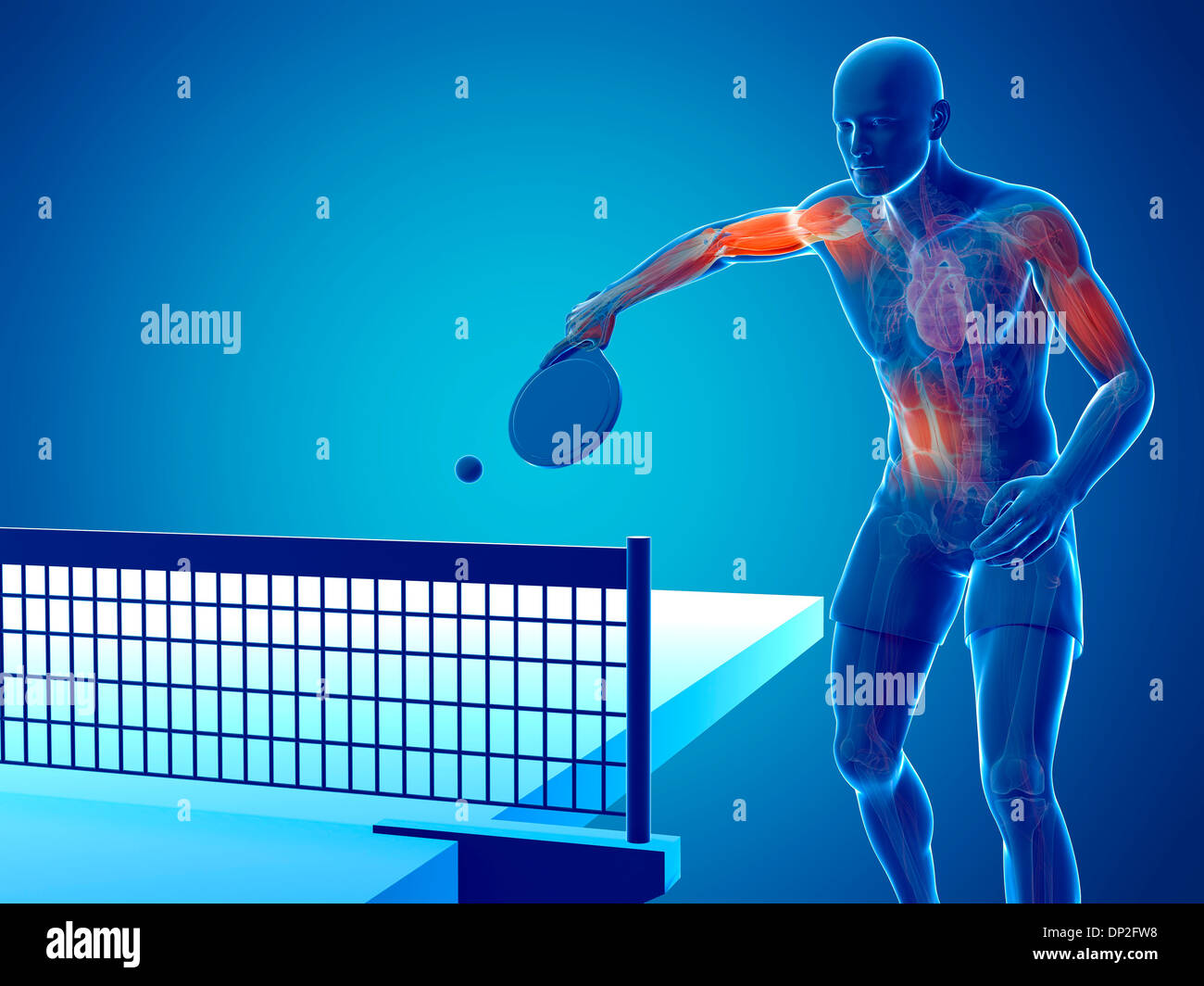Table tennis player, artwork Stock Photo - Alamy