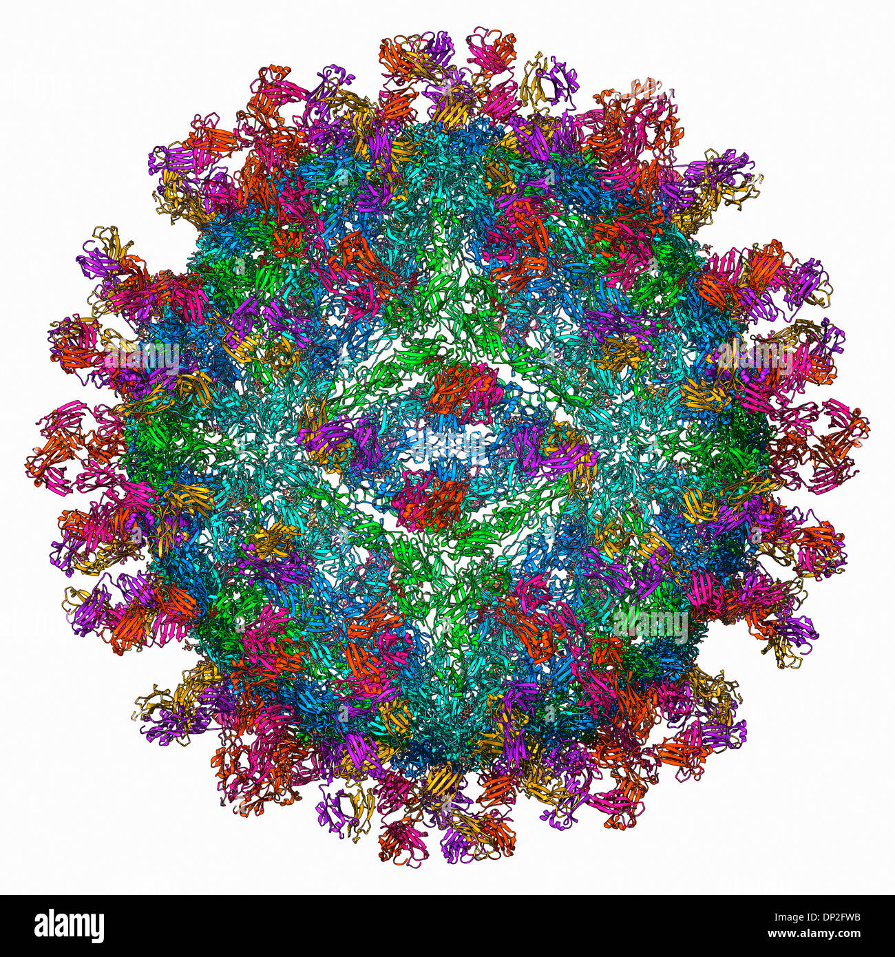 Flavivirus structure hi-res stock photography and images - Alamy