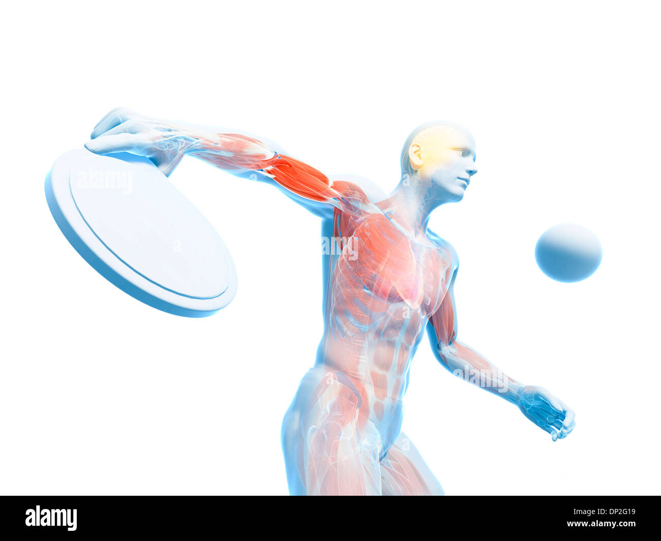 Table tennis player, artwork Stock Photo - Alamy
