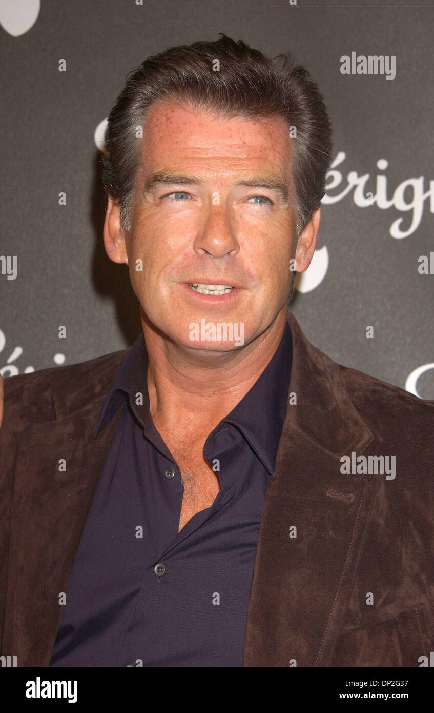 Jun 02, 2006; Los Angeles, CA, USA; Actor PIERCE BROSNAN at the Dom ...