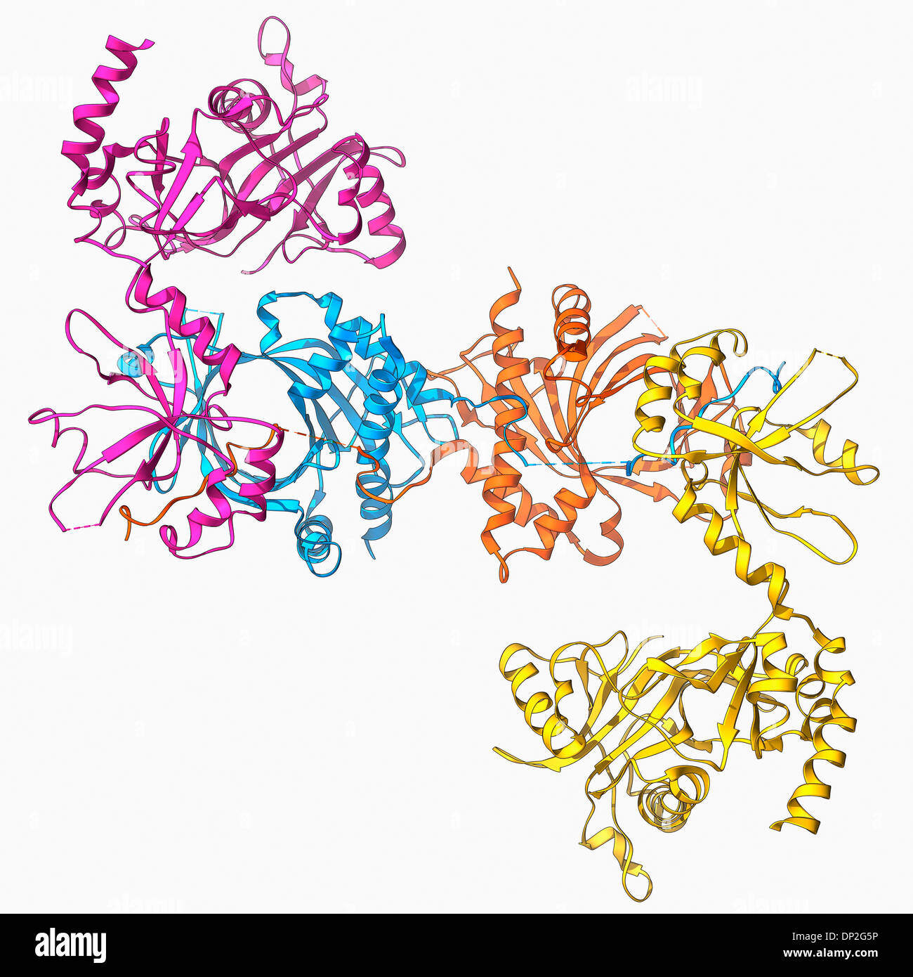 Mrna capping hi-res stock photography and images - Alamy