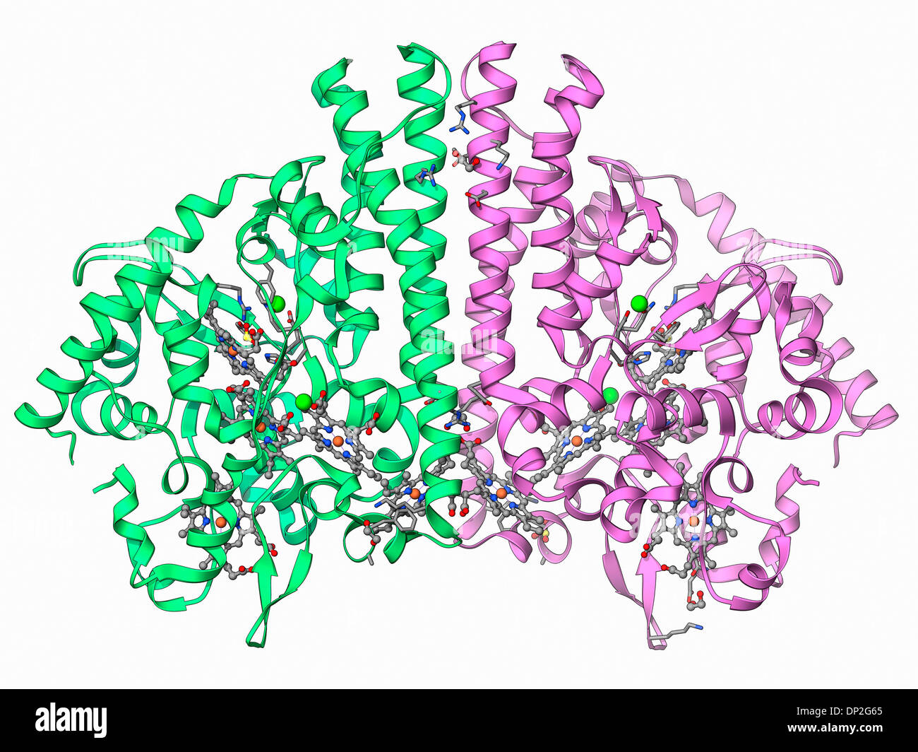 Redox reaction hi-res stock photography and images - Alamy