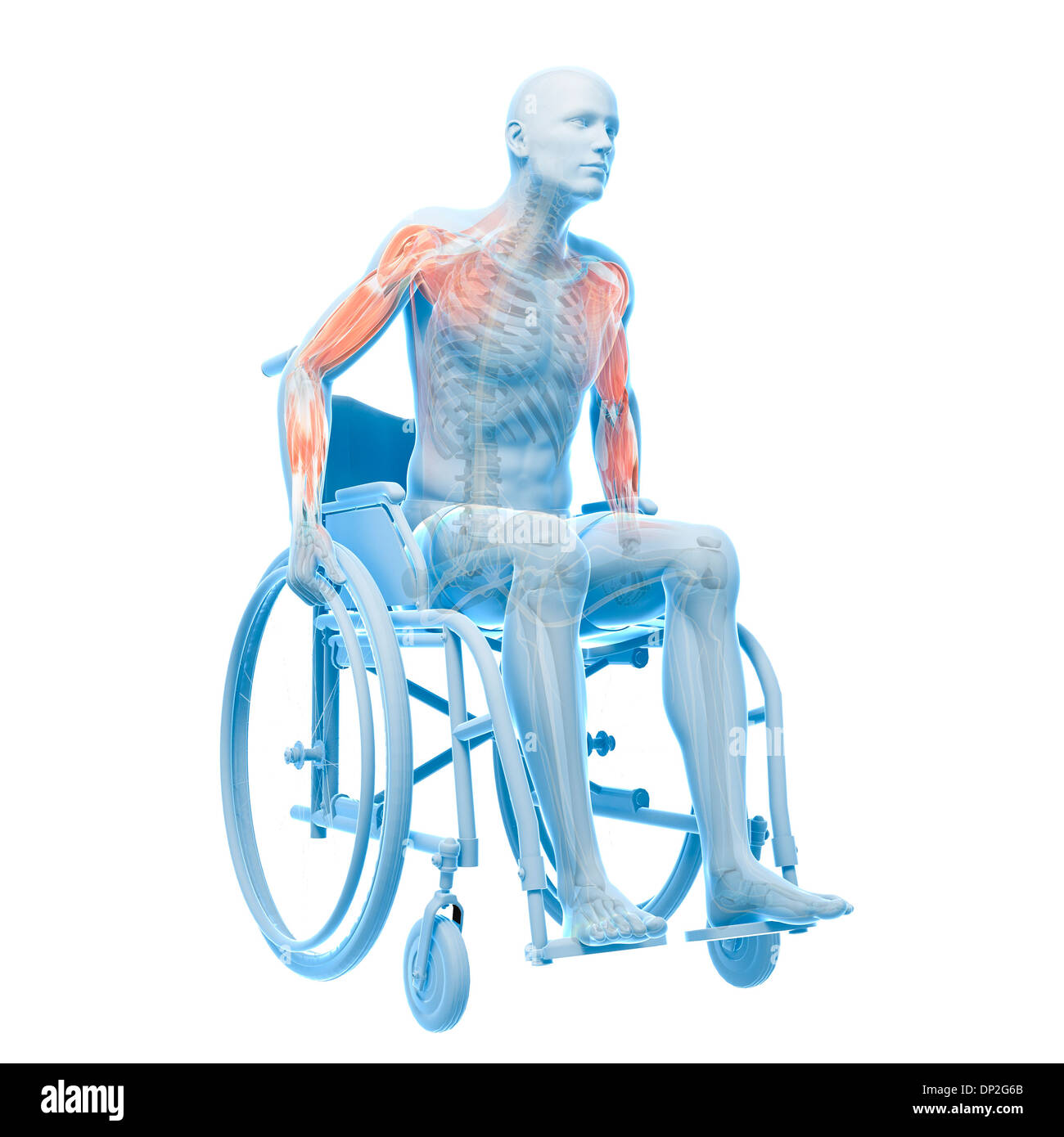 Skeleton in wheelchair hi-res stock photography and images - Alamy