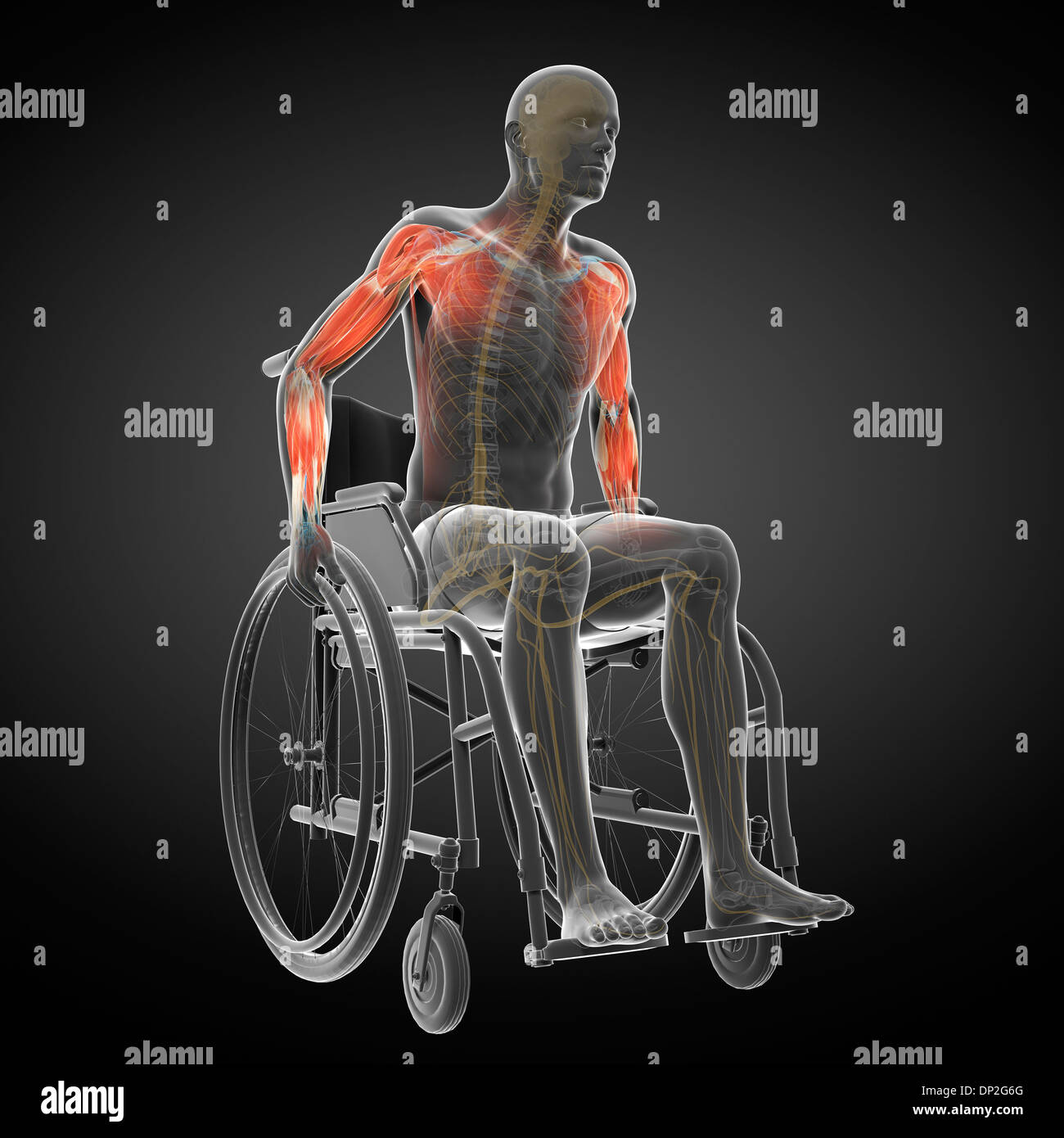 Skeleton in a wheelchair hi-res stock photography and images - Alamy