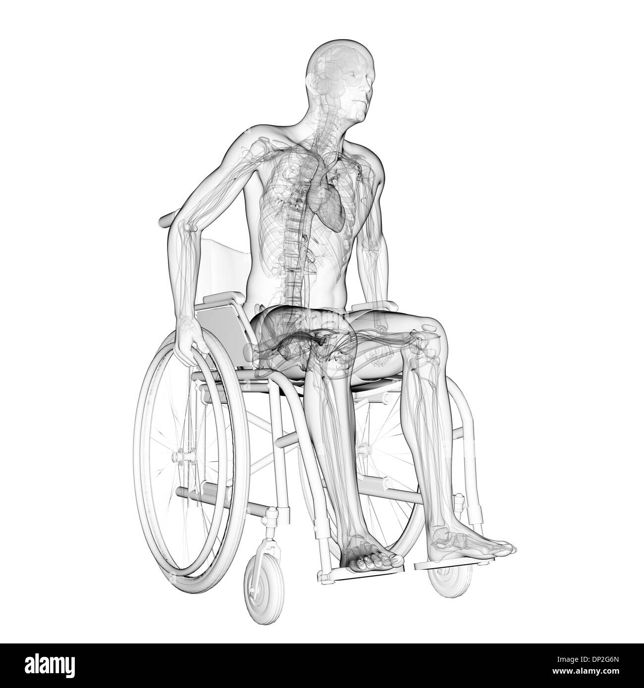 Person In Wheelchair Drawing
