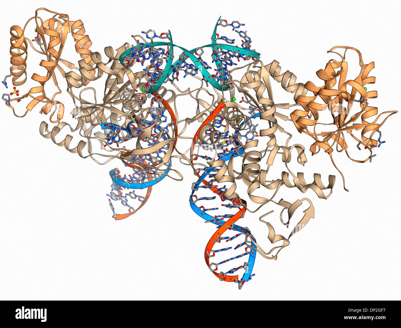 Retrovirus structure hi-res stock photography and images - Alamy