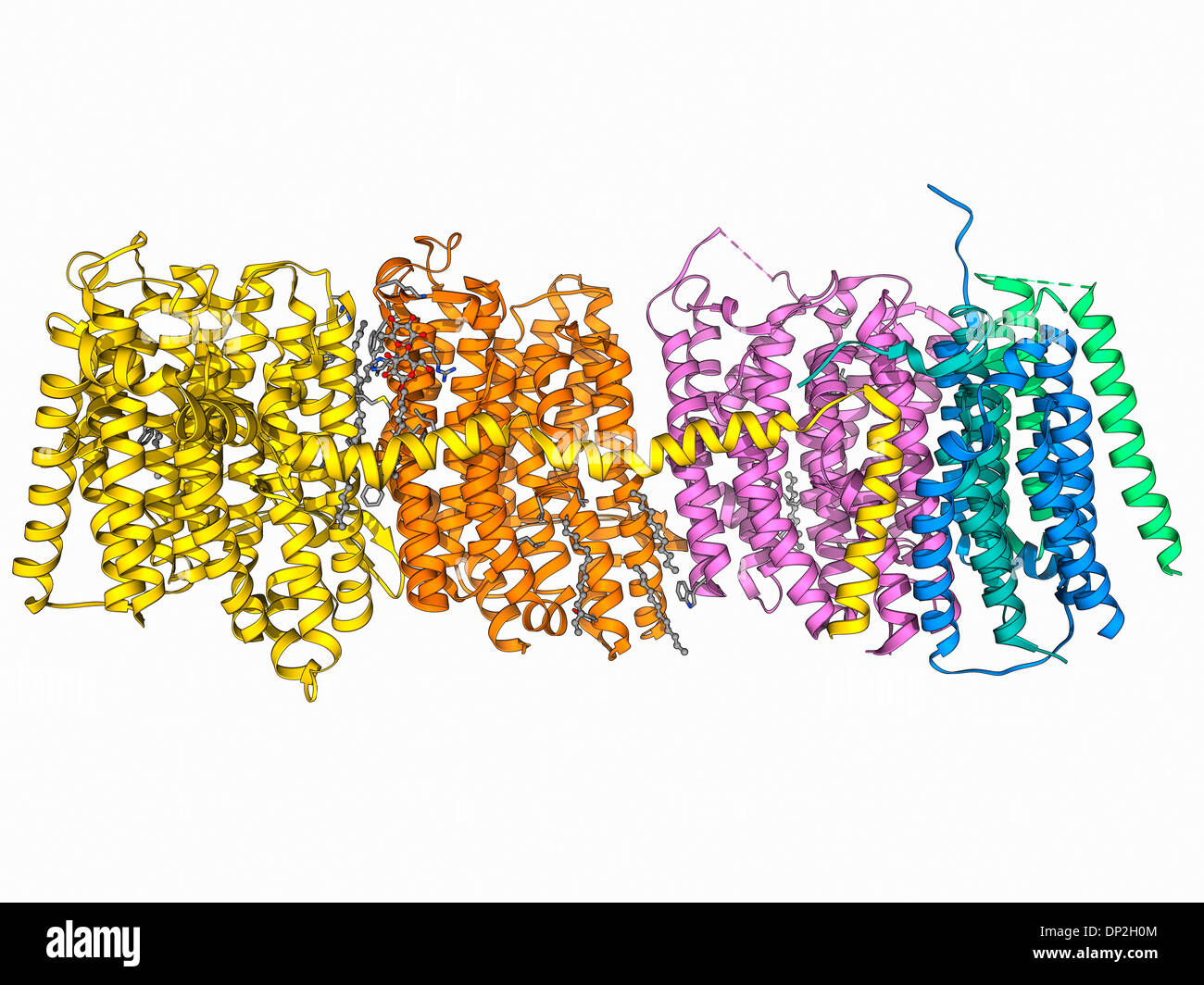 Oxidoreductase hi-res stock photography and images - Alamy