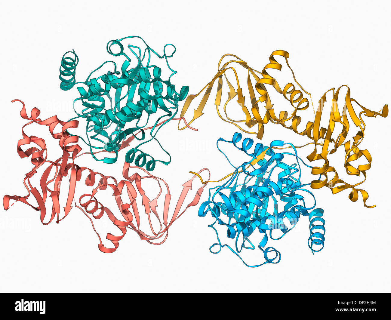 Camp healthcare Cut Out Stock Images & Pictures - Alamy