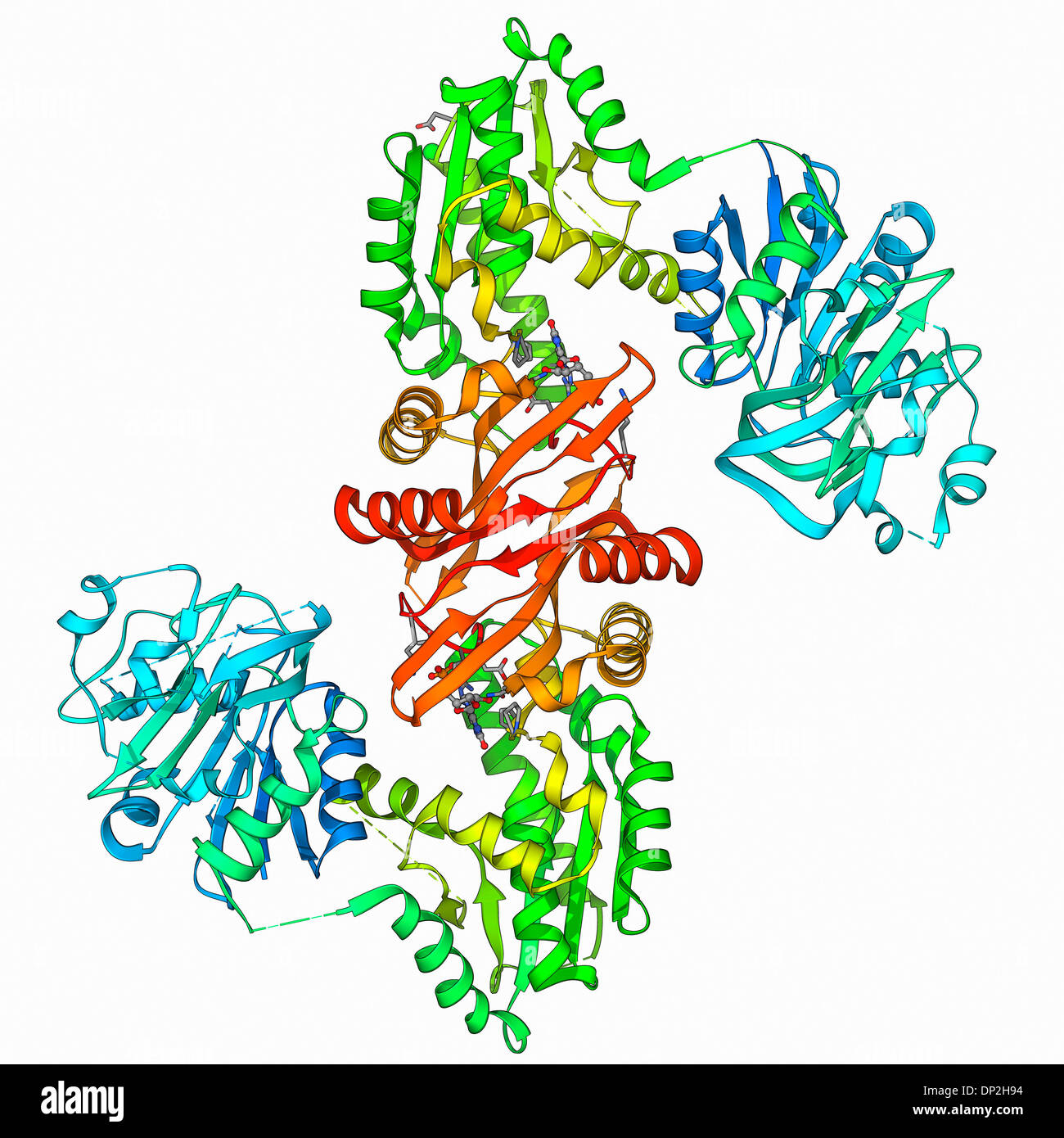 Guanine monophosphate synthetase hi-res stock photography and images ...