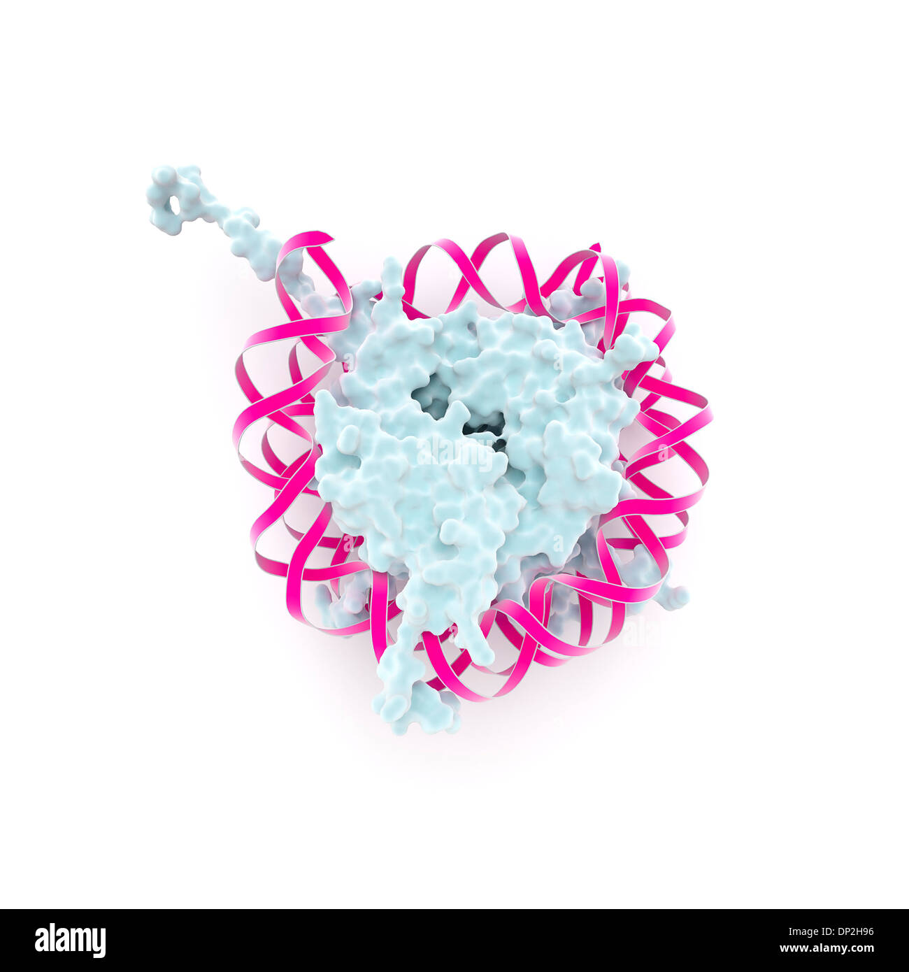 Nucleosome structure hi-res stock photography and images - Alamy