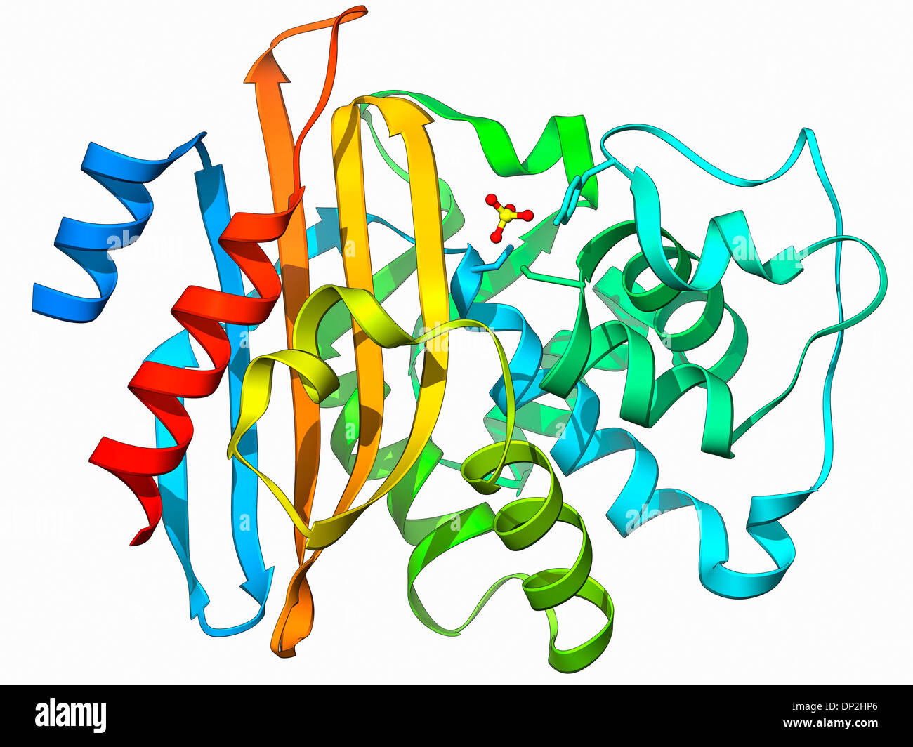 Beta-lactamase molecule Stock Photo - Alamy