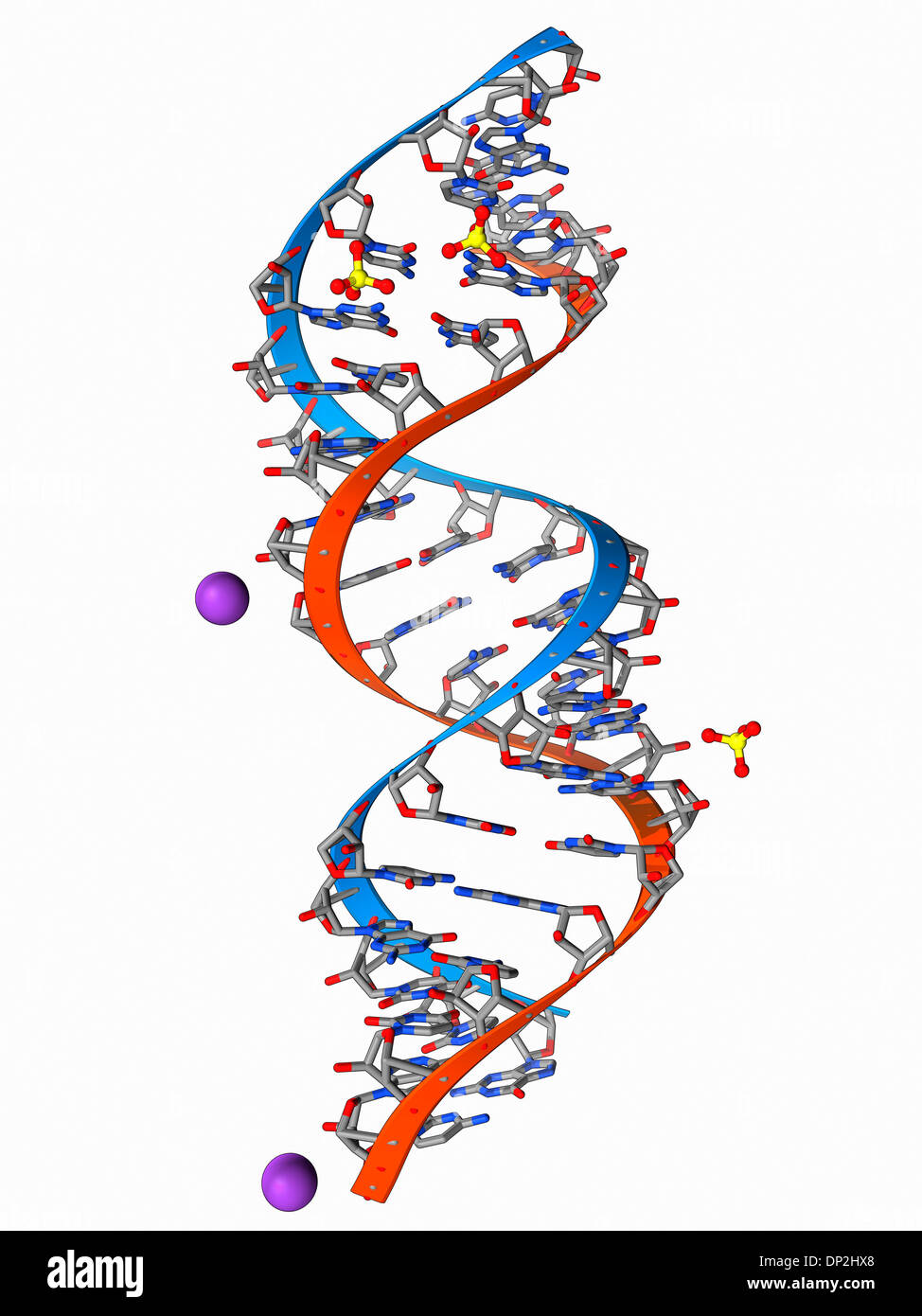 Repeat medicine Cut Out Stock Images & Pictures - Alamy