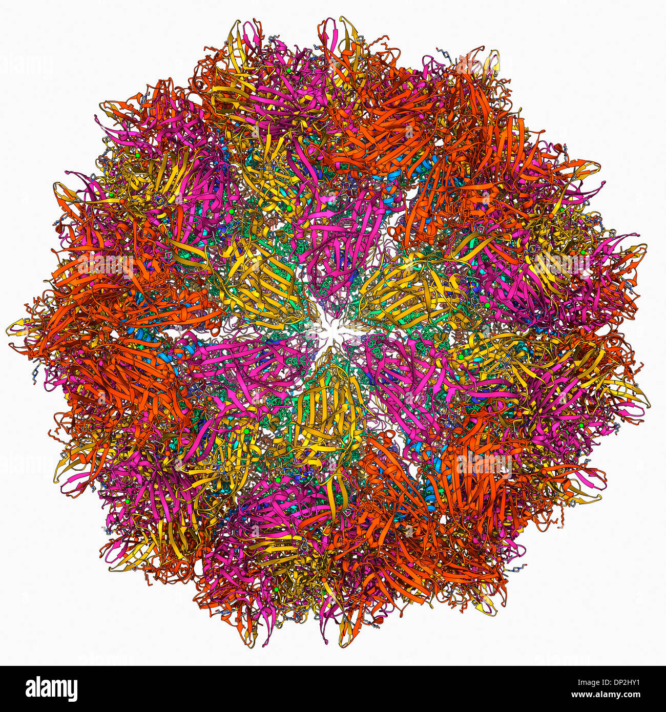 Nodaviridae hi-res stock photography and images - Alamy