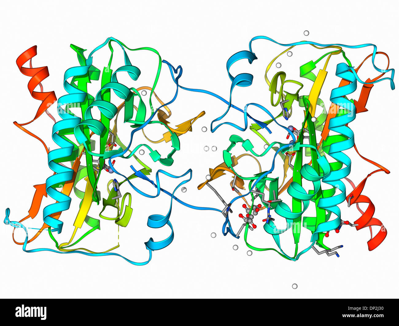 Alpha sheet Cut Out Stock Images & Pictures - Alamy