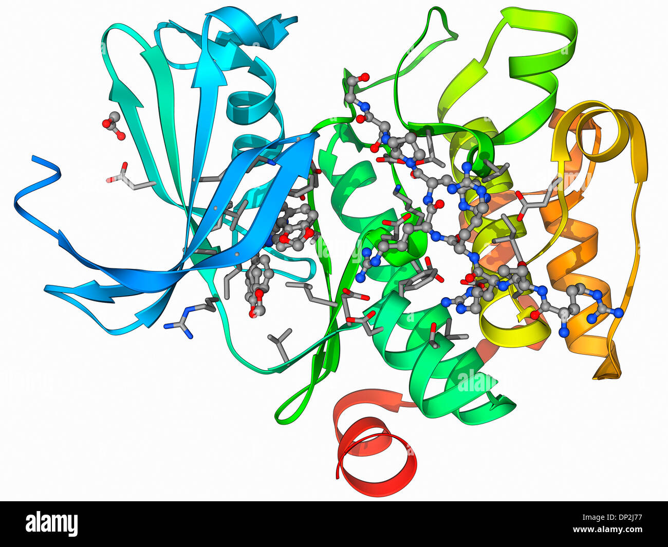 Kinase inhibitor complex Stock Photo - Alamy