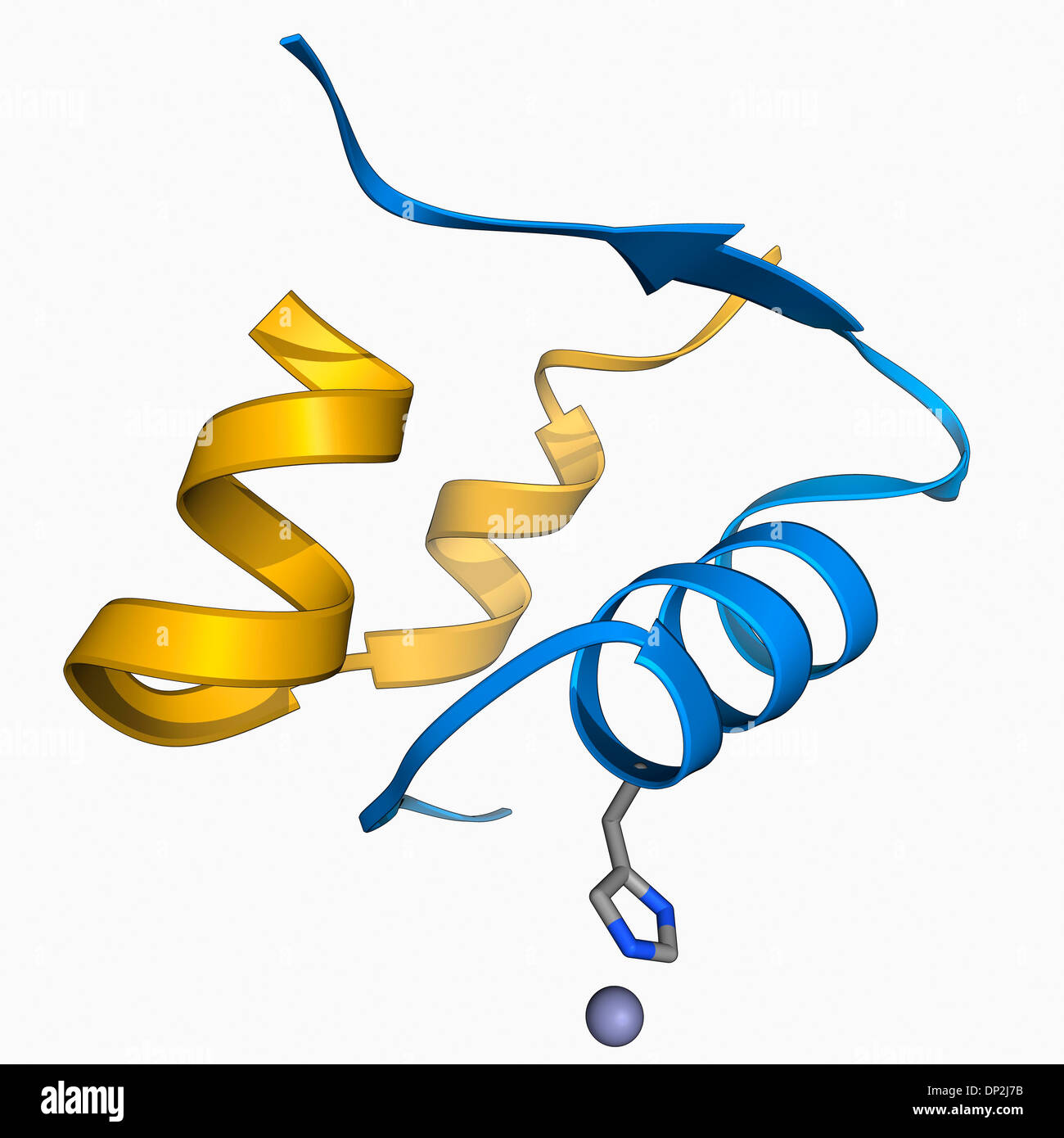 Insulin molecule hi-res stock photography and images - Alamy