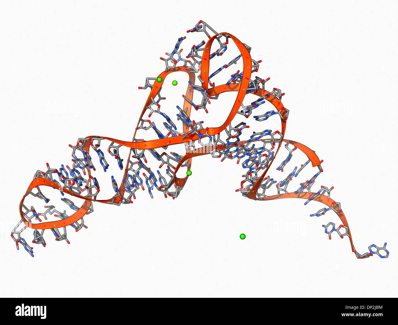 tRNA molecule Stock Photo: 65211880 - Alamy tRNA molecule Stock Photo: 65211880 - Alamy