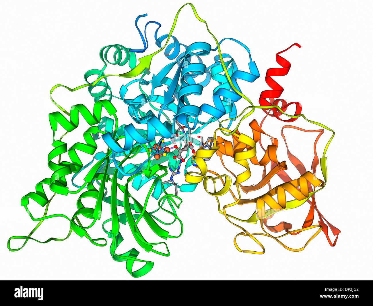 Metabolic enzyme molecule Stock Photo - Alamy