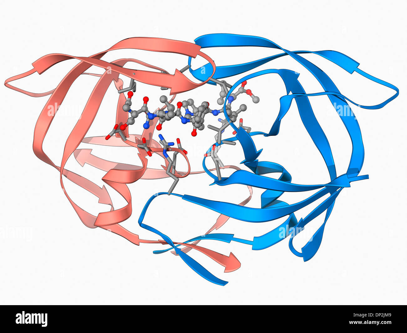HIV-1 protease and inhibitor Stock Photo - Alamy